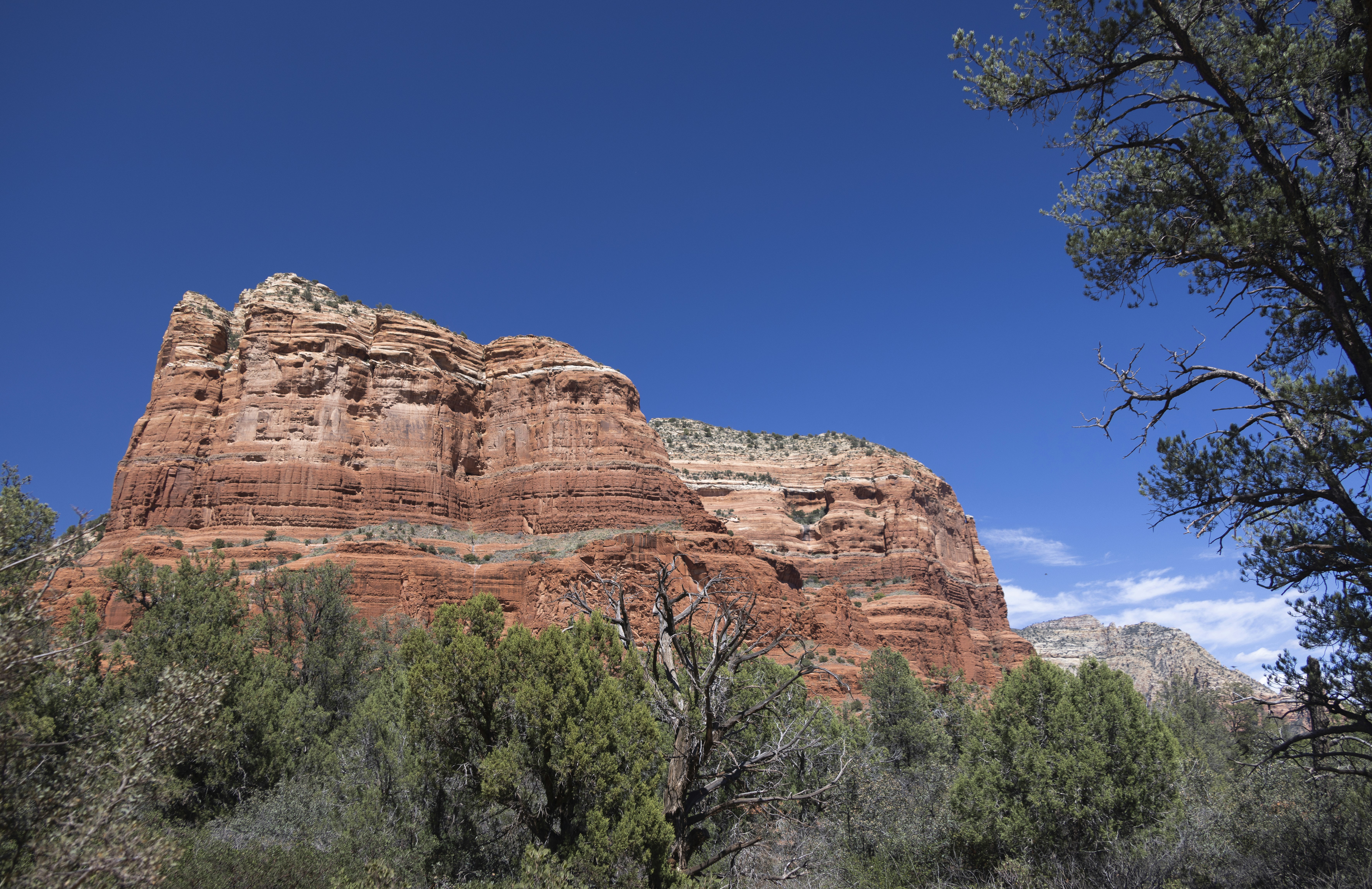 Imposing red rock formations rise majestically against a clear blue sky, surrounded by lush greenery. The scene showcases the natural beauty of the landscape.