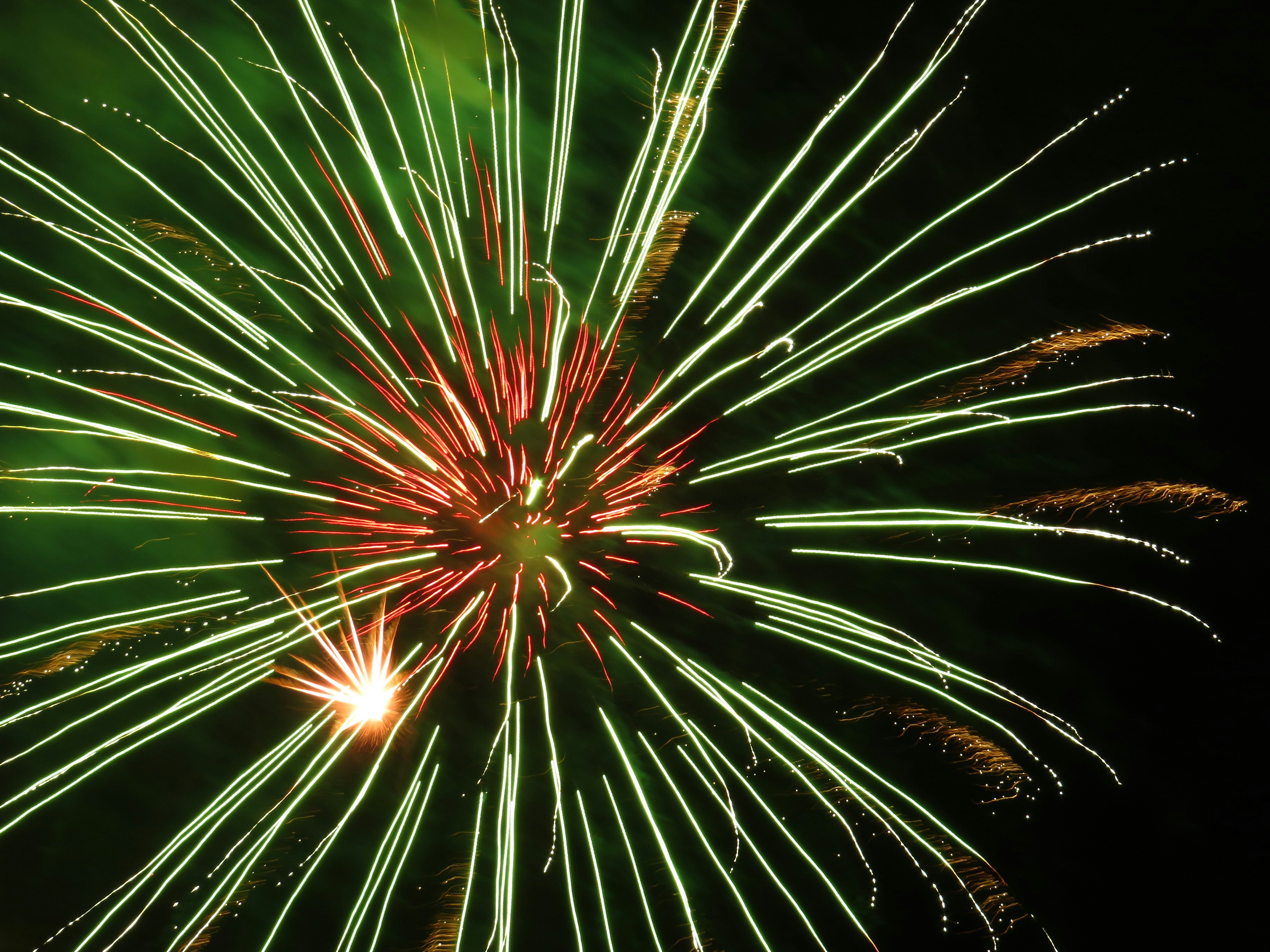 Verdant Burst: A Green Firework Unfurls with Crimson Core