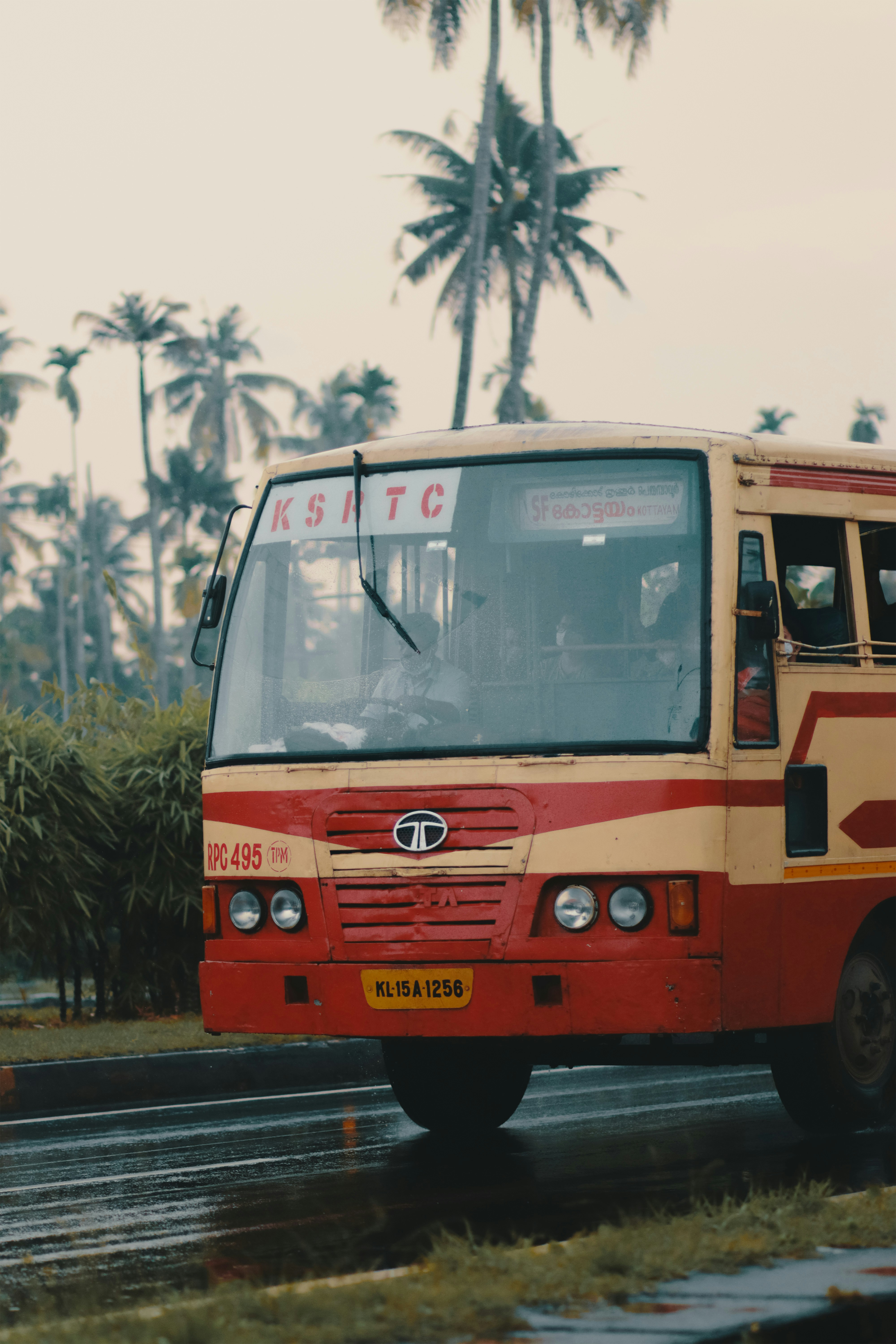 Palm-Row Commute: A Weathered Bus on a Rain-Slick Coastal Road