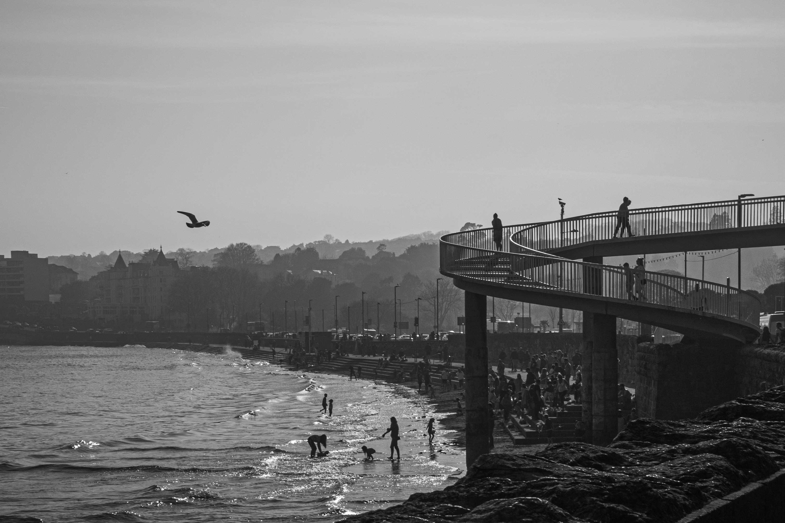 Black and white coastal scene with a seagull flying over a beach and a pier with people walking.