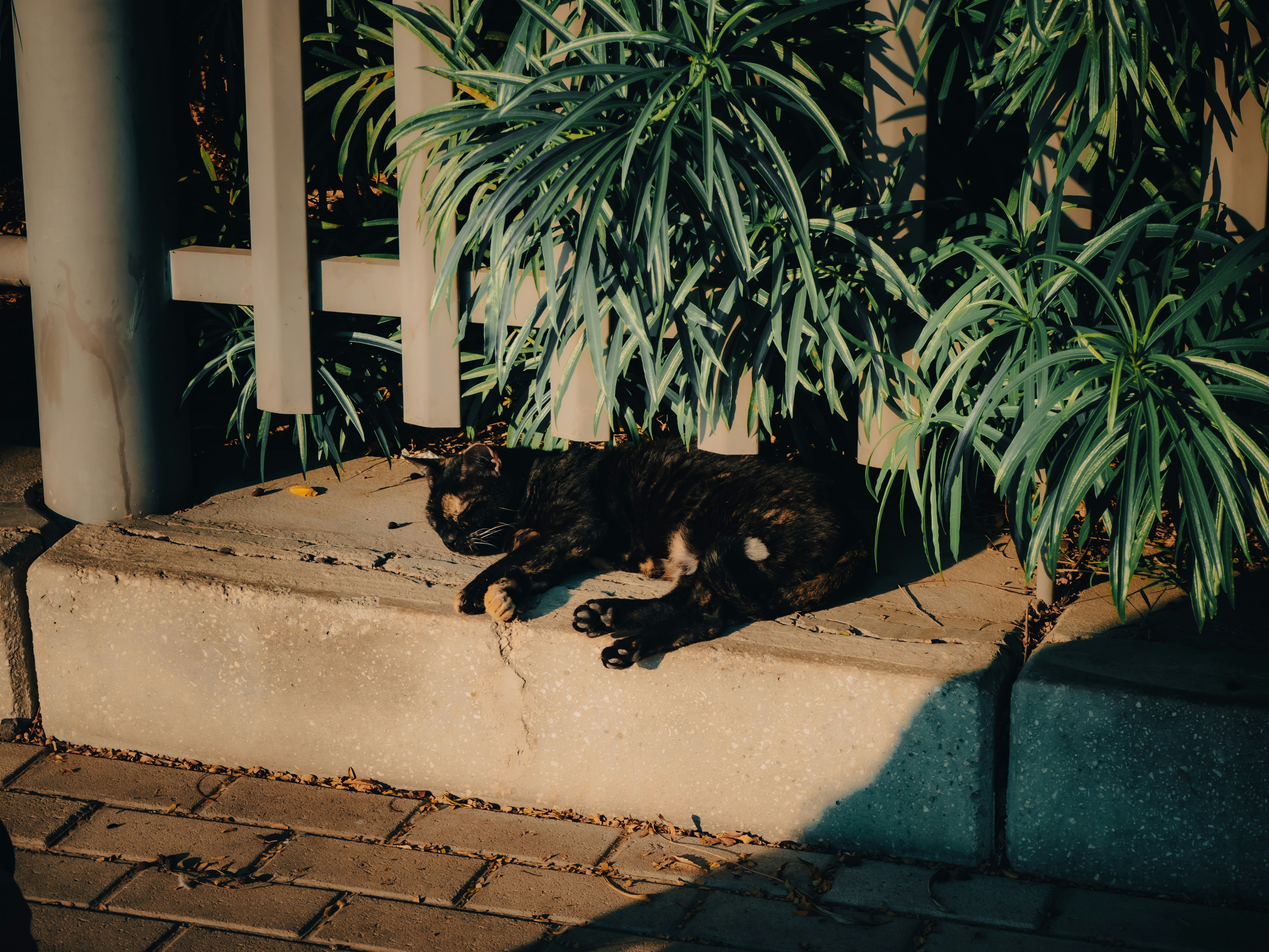 Sample photo from Olympus E-PL7