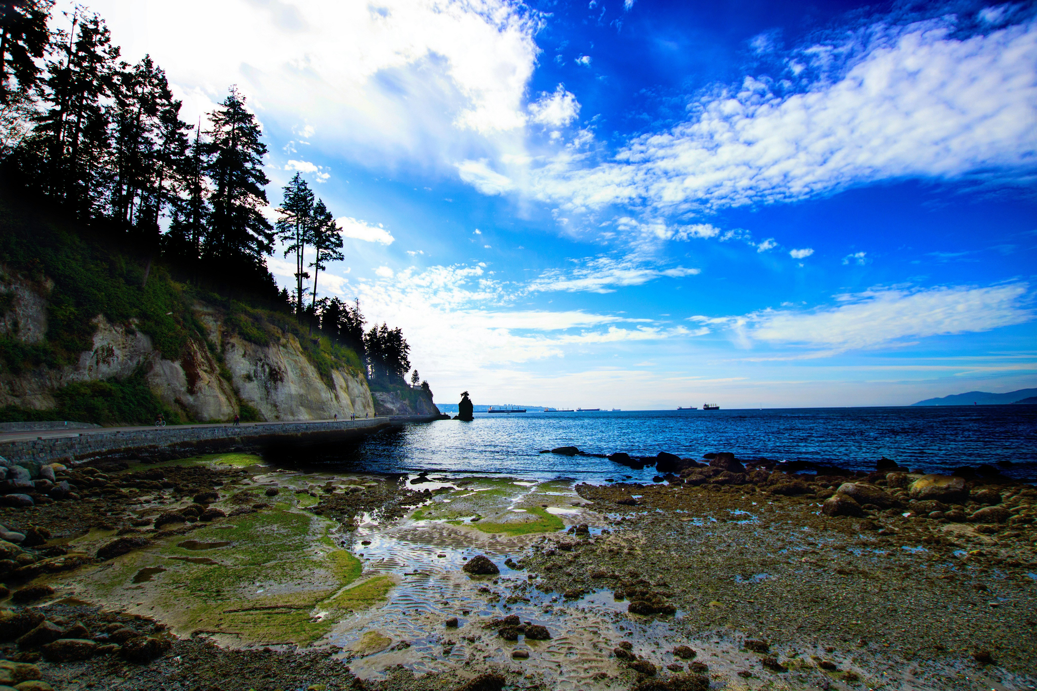 Rocky shoreline with vibrant green algae, under a vast blue sky dotted with clouds. The scene captures the tranquil meeting of land and ocean.