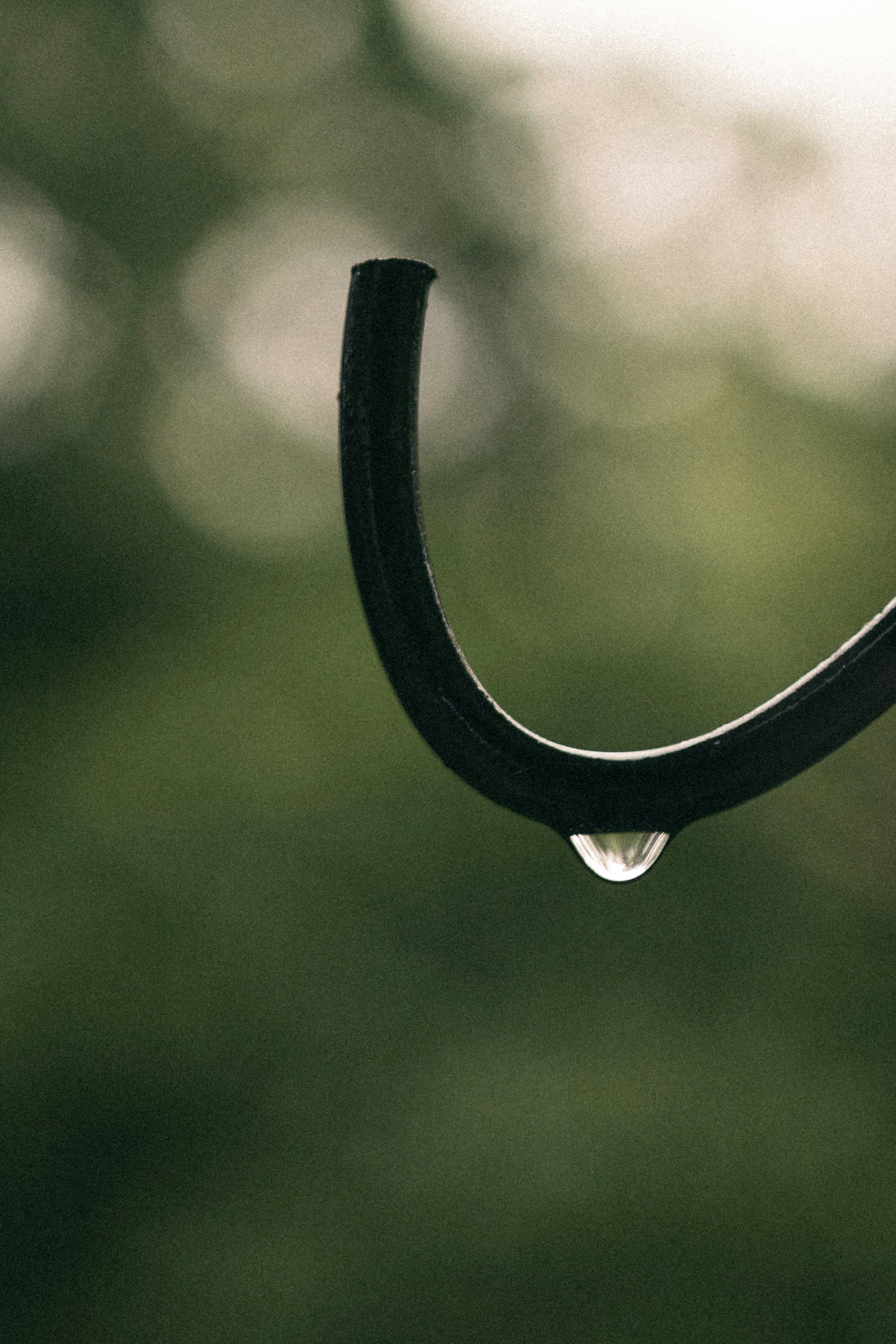 Dew on a Quiet Arc: a single drop anchors the curve.