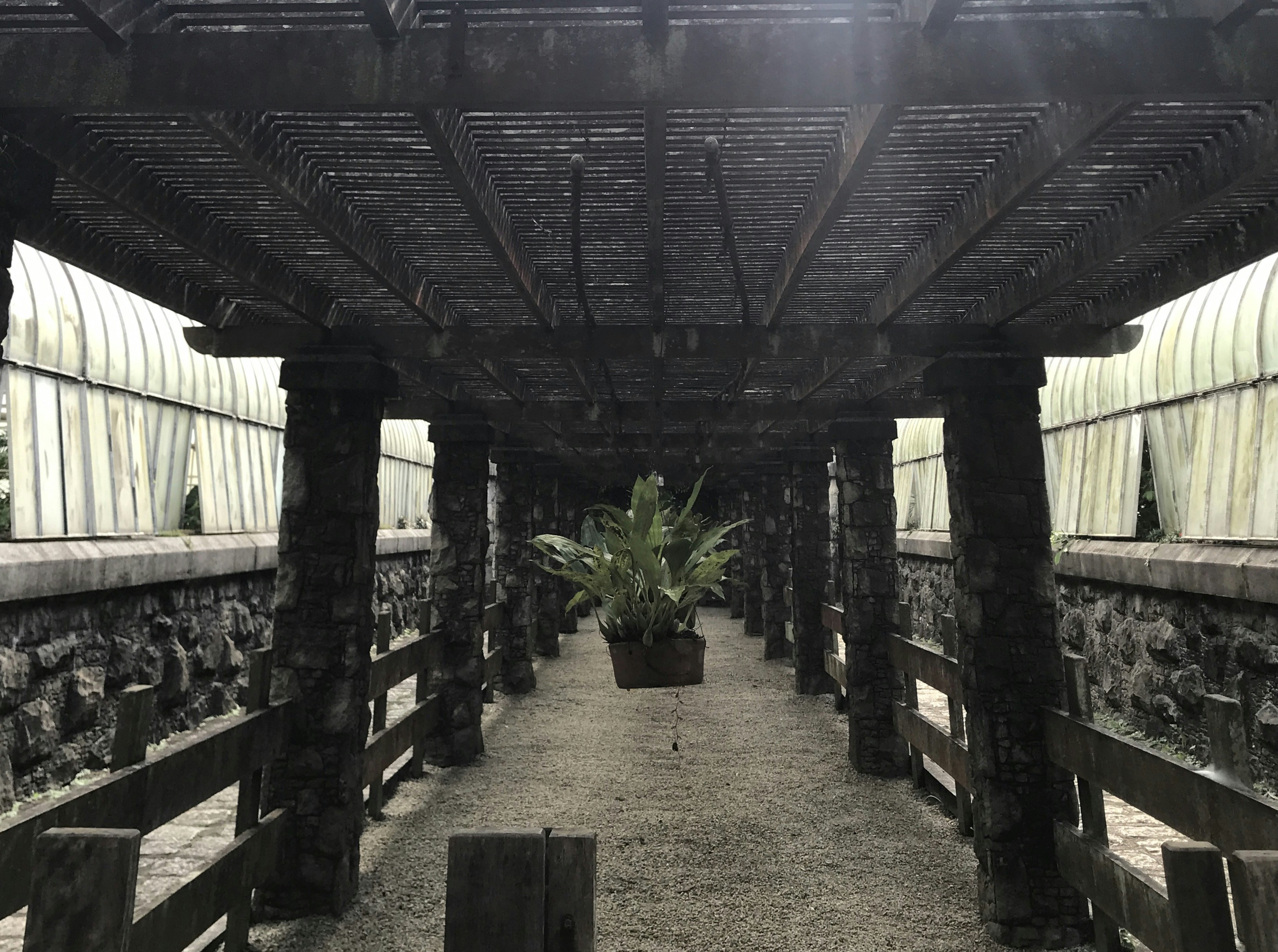 A serene indoor garden featuring a lush potted plant suspended beneath a structured canopy of stone and metal. The interplay of light and shadow enhances the architectural details.
