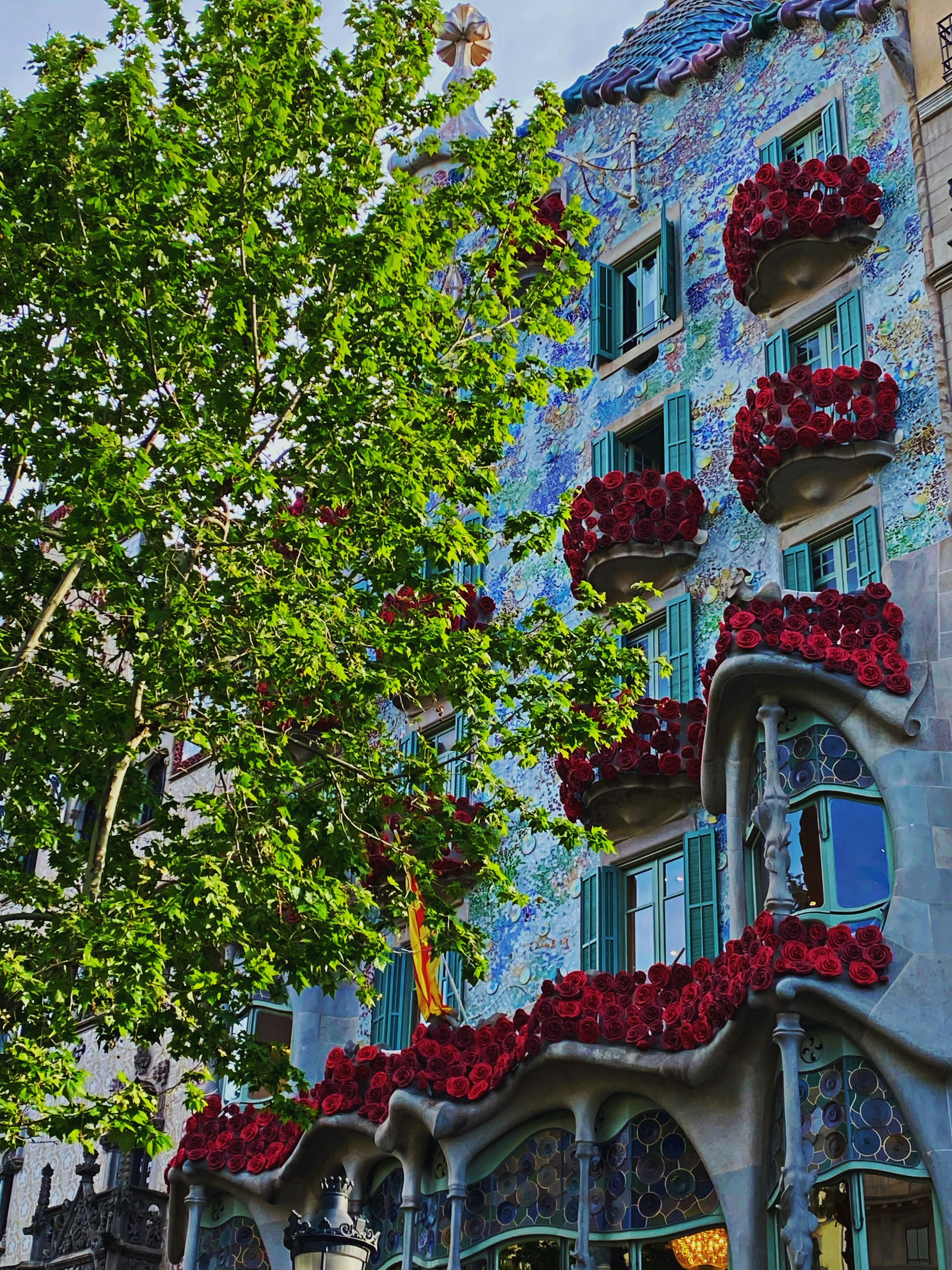 a tree with flowers on it