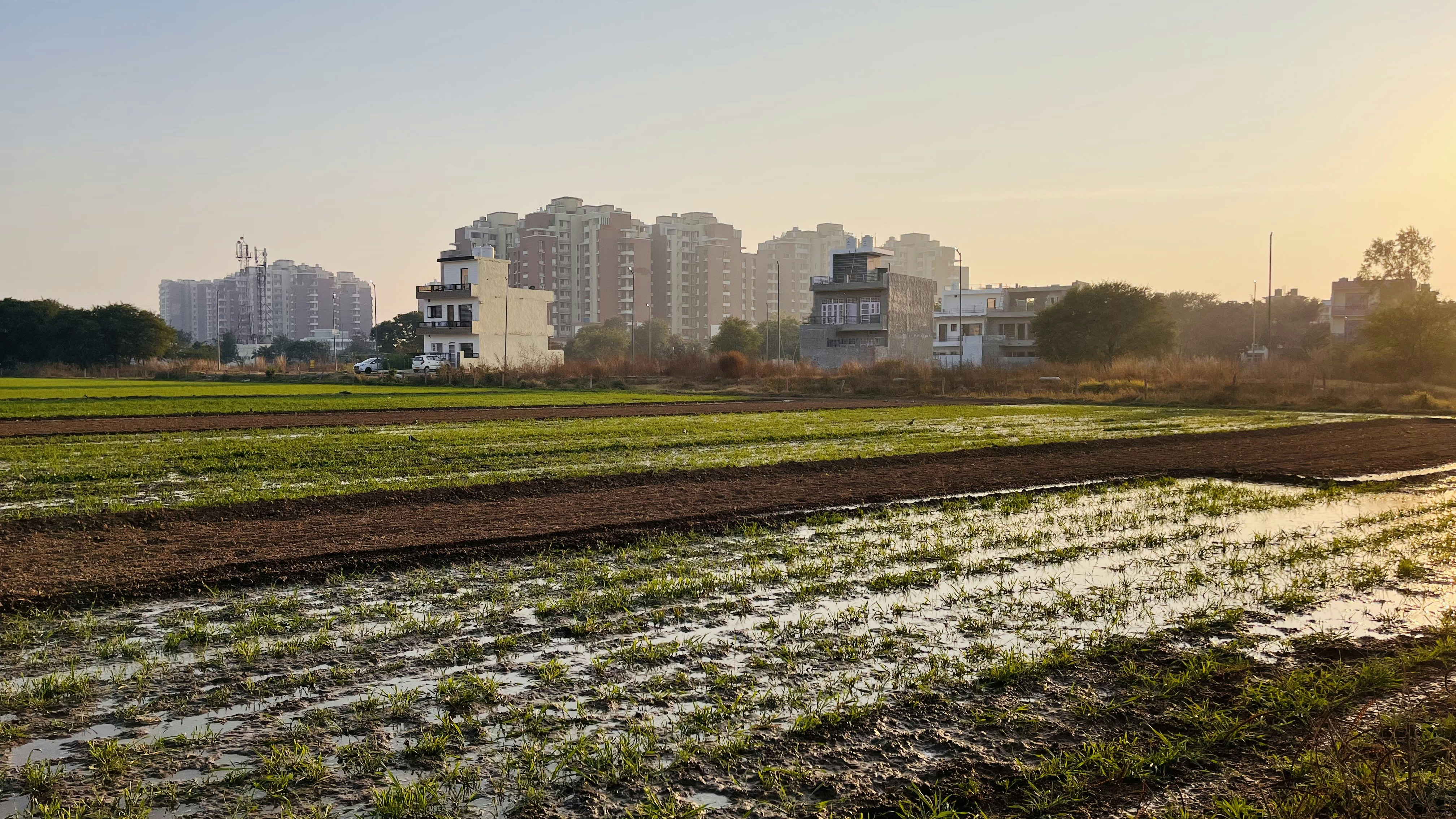 Dawning Skyline Quietly Framed by Waterlogged Fields
