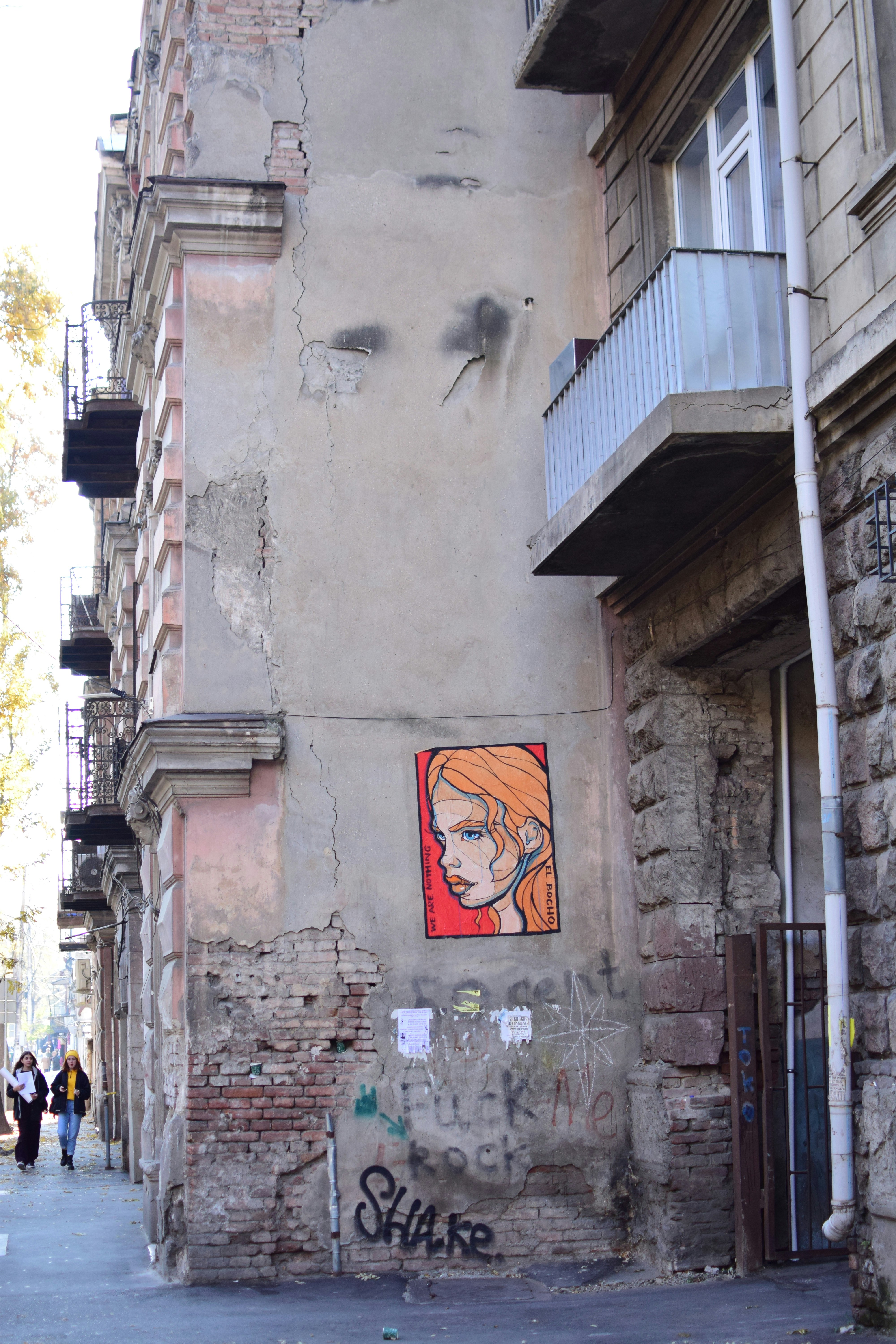 Portrait in the Cracks: A Vibrant Poster Clings to a Weathered Facade