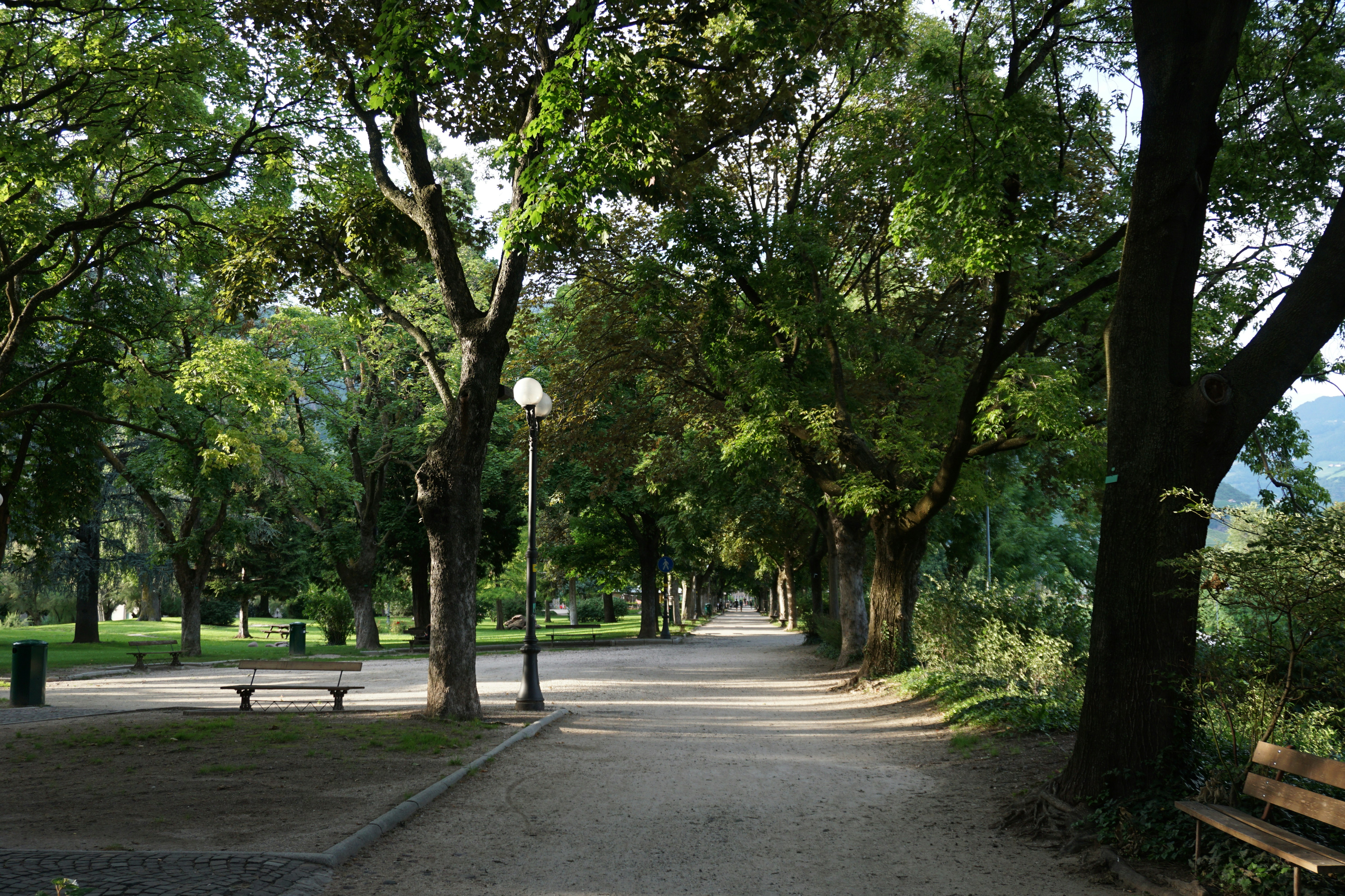 A path with benches and trees on the side photo – Free Bolzano Image on ...