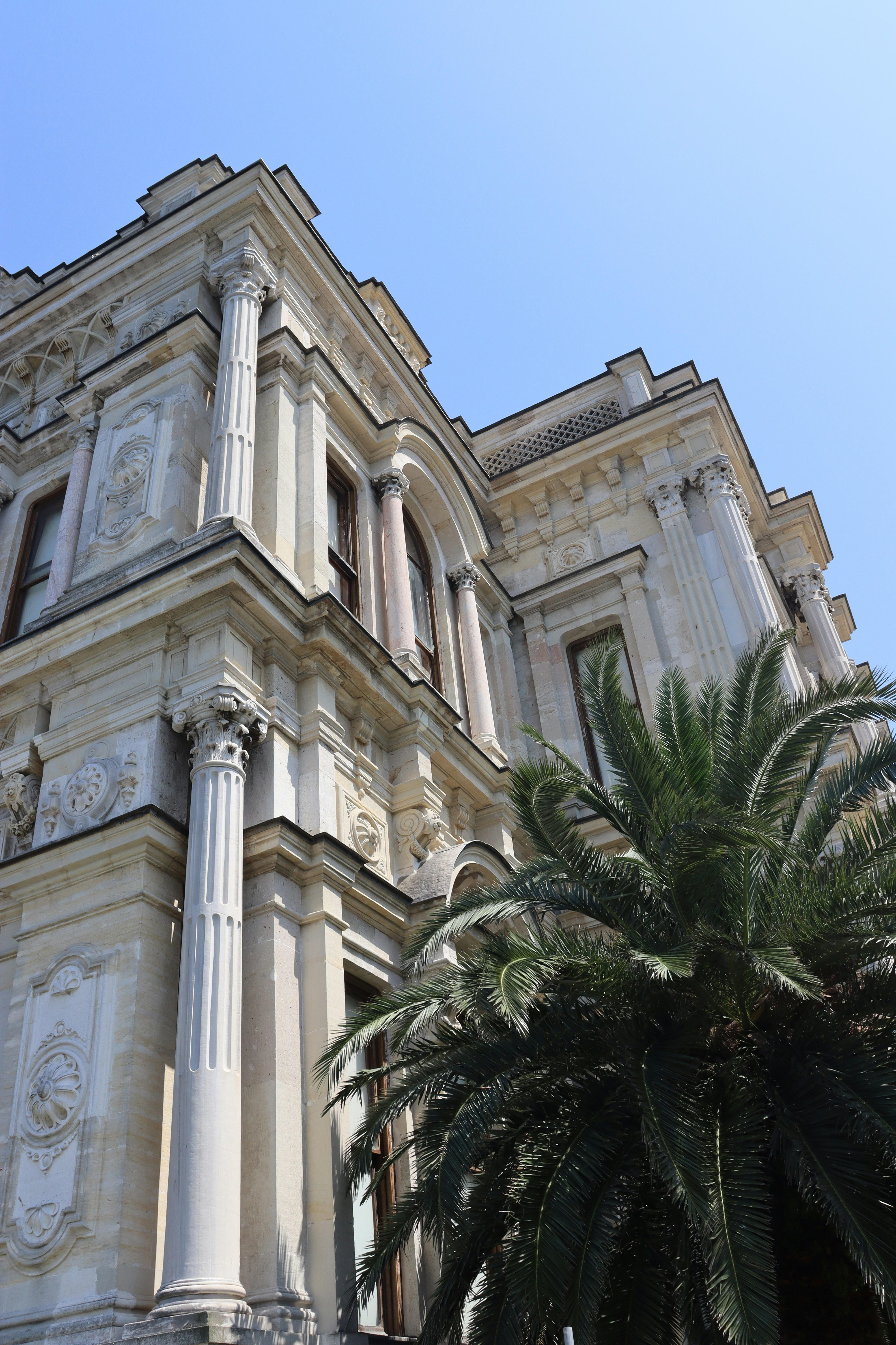 A building with columns and a palm tree in front of it photo – Free ...