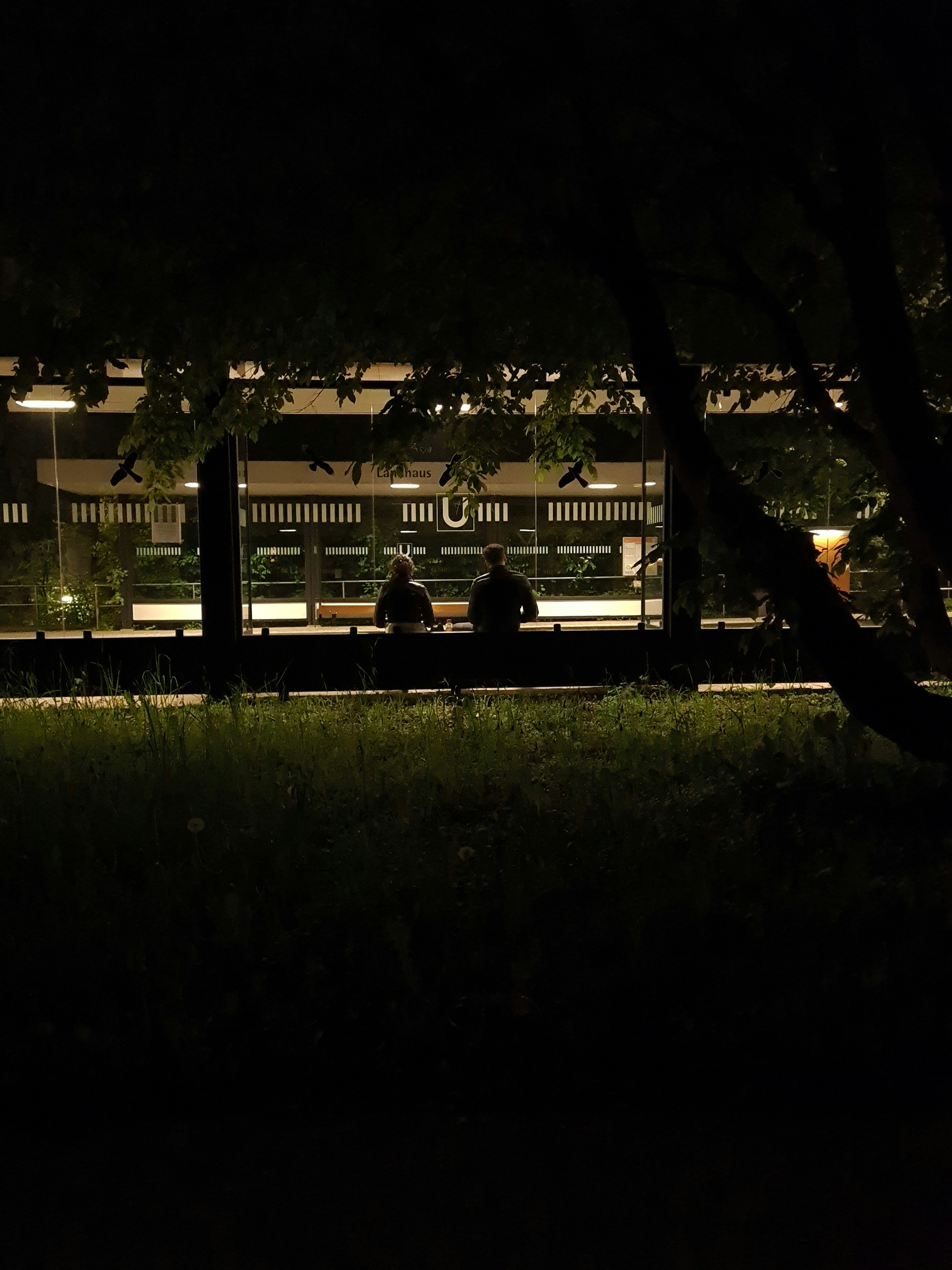 Midnight Counterbreak: Quiet Interaction at the Diner Window