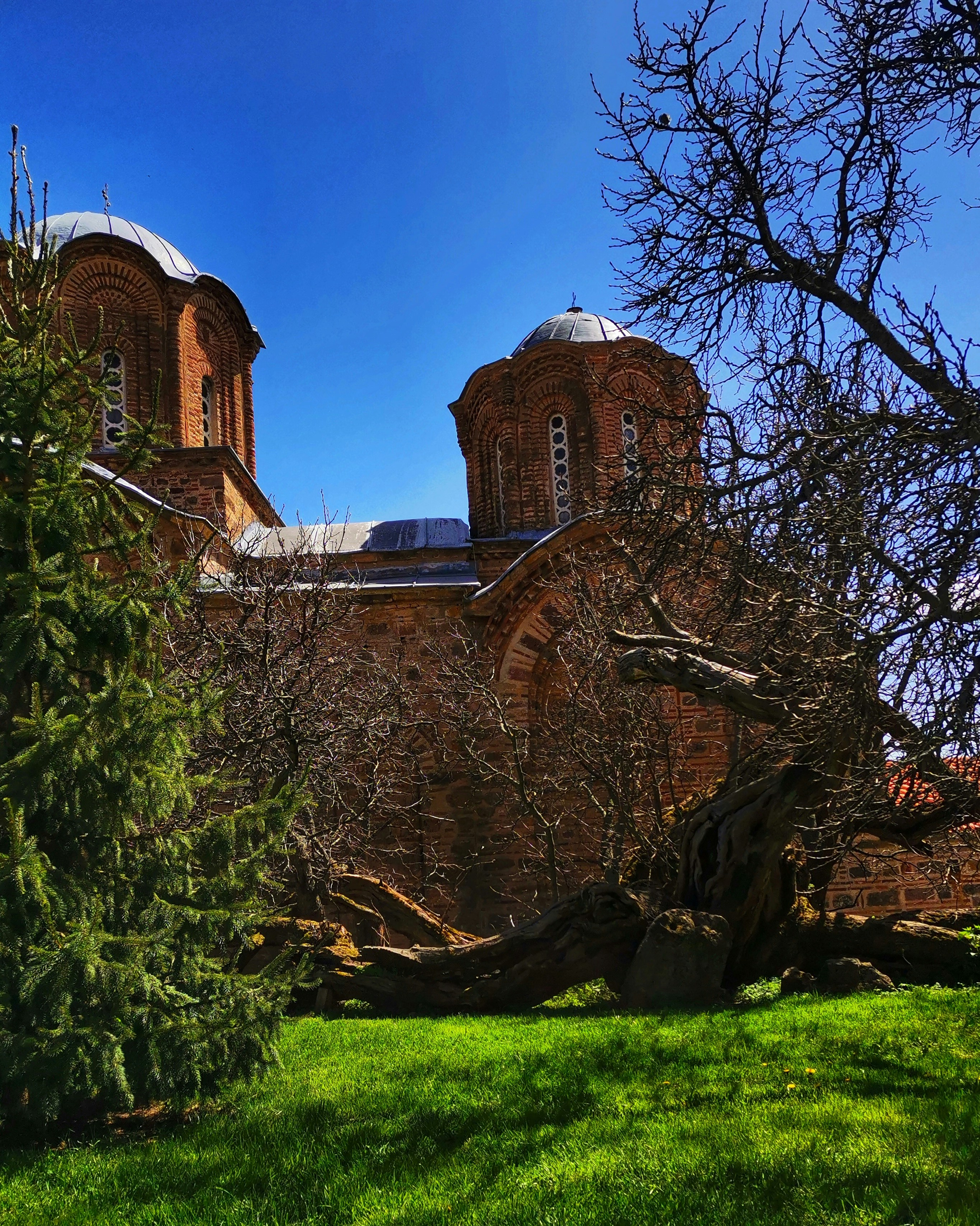 Ancient church nestled among bare trees and lush grass under a clear blue sky.