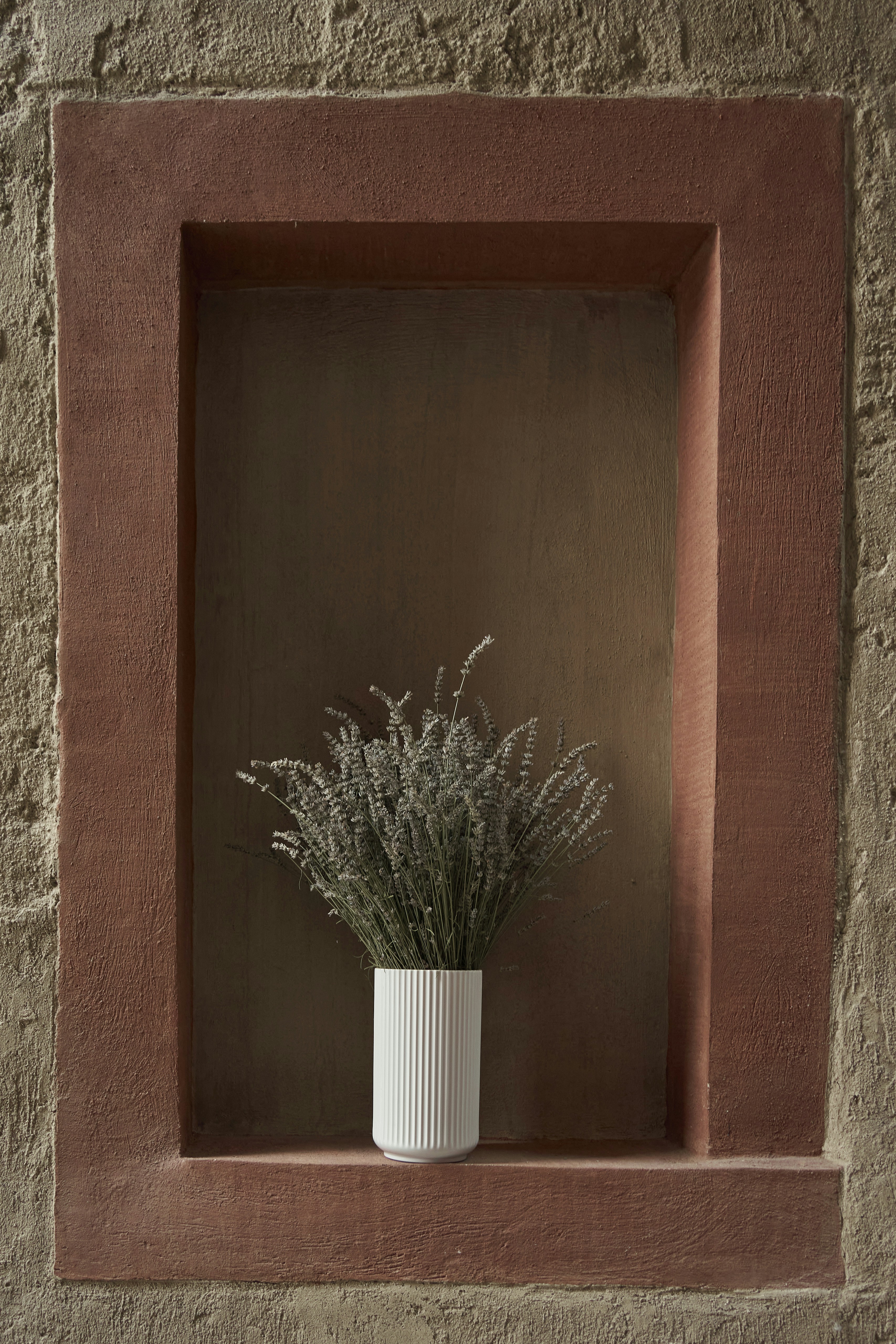 A vase with flowers in it photo – Free Kahla Image on Unsplash