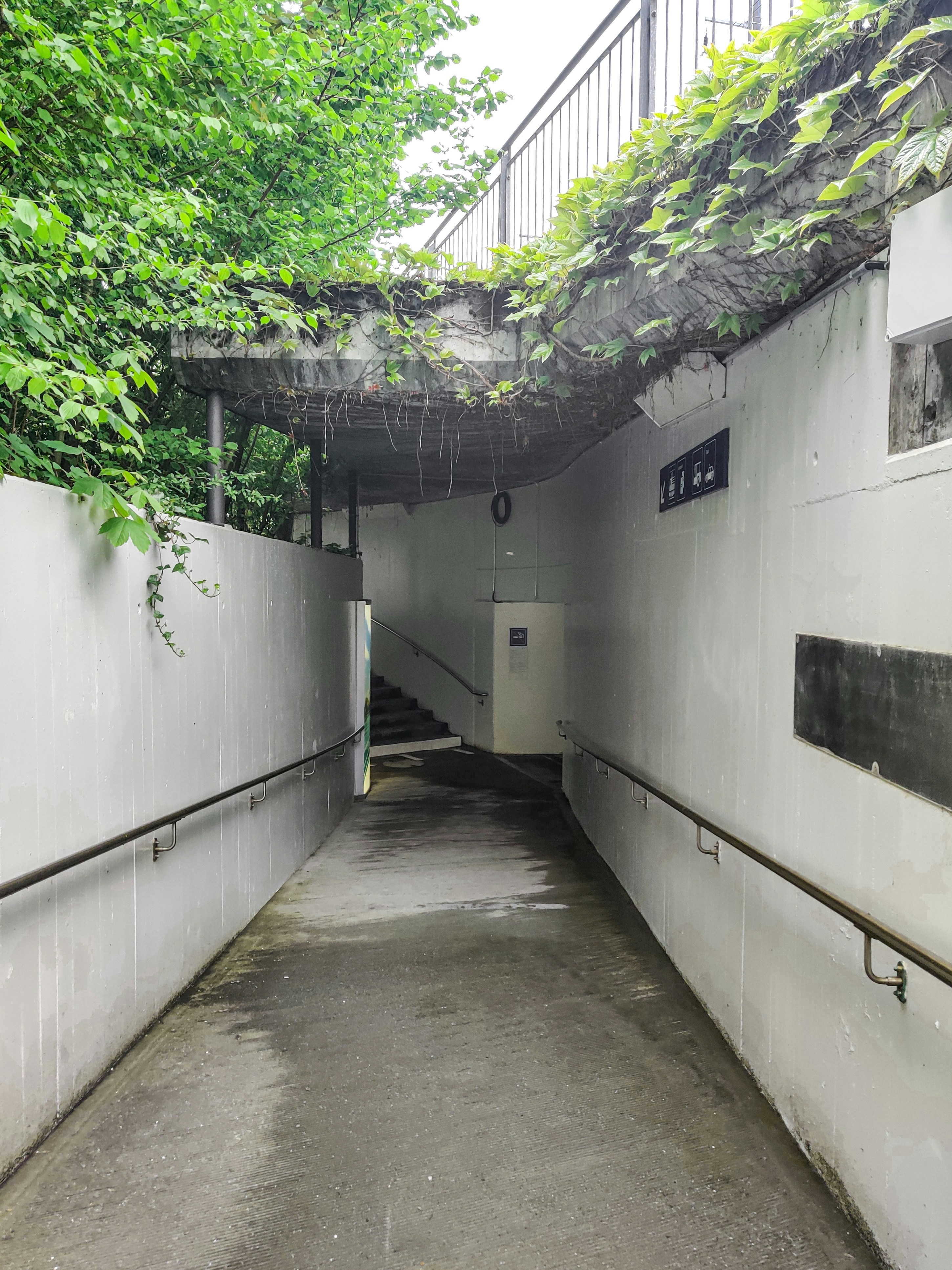 A serene urban passageway with a concrete path leading to a staircase, framed by lush greenery overhead. The scene invites exploration.