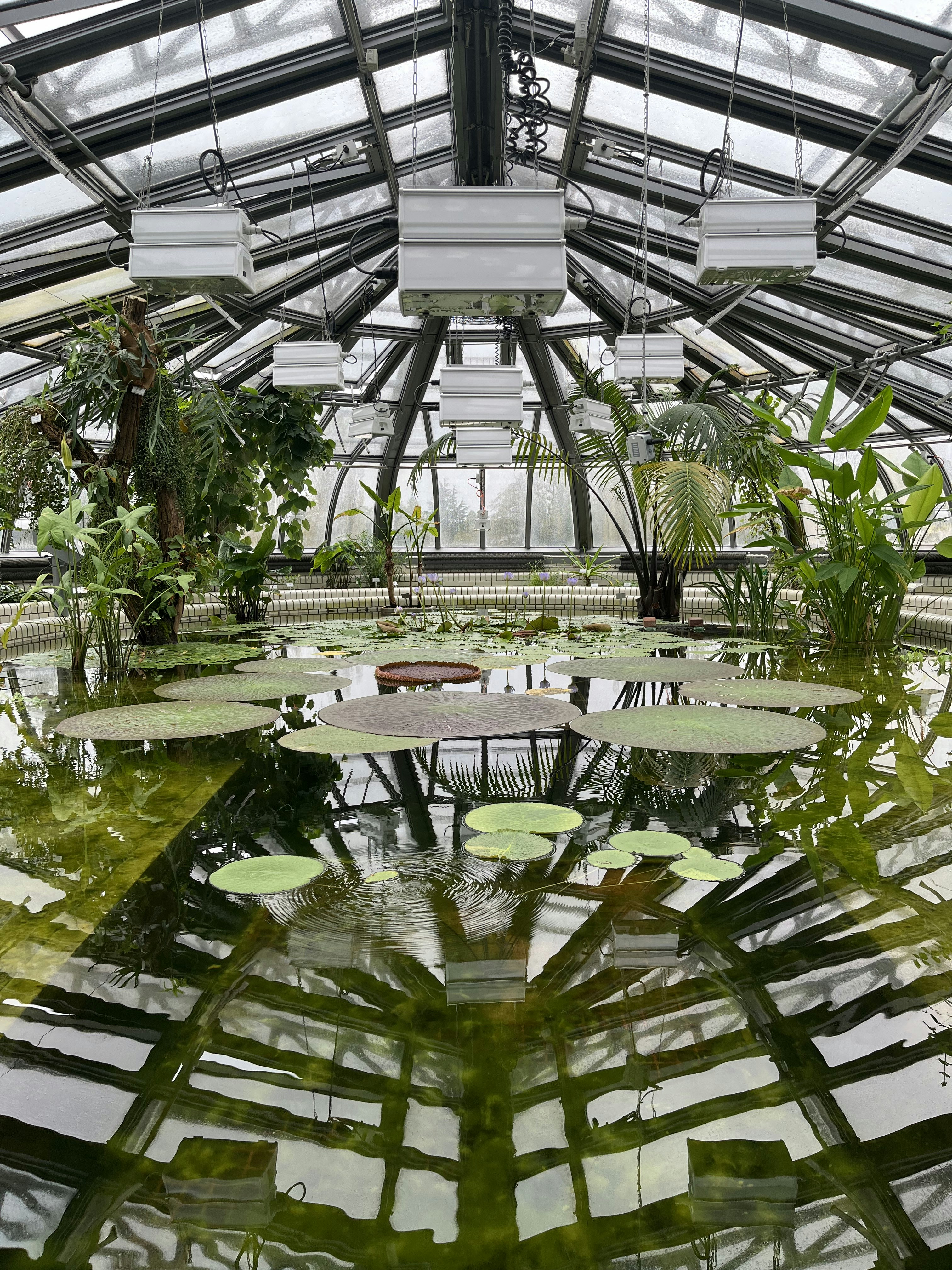 A large indoor garden photo – Free Architecture Image on Unsplash
