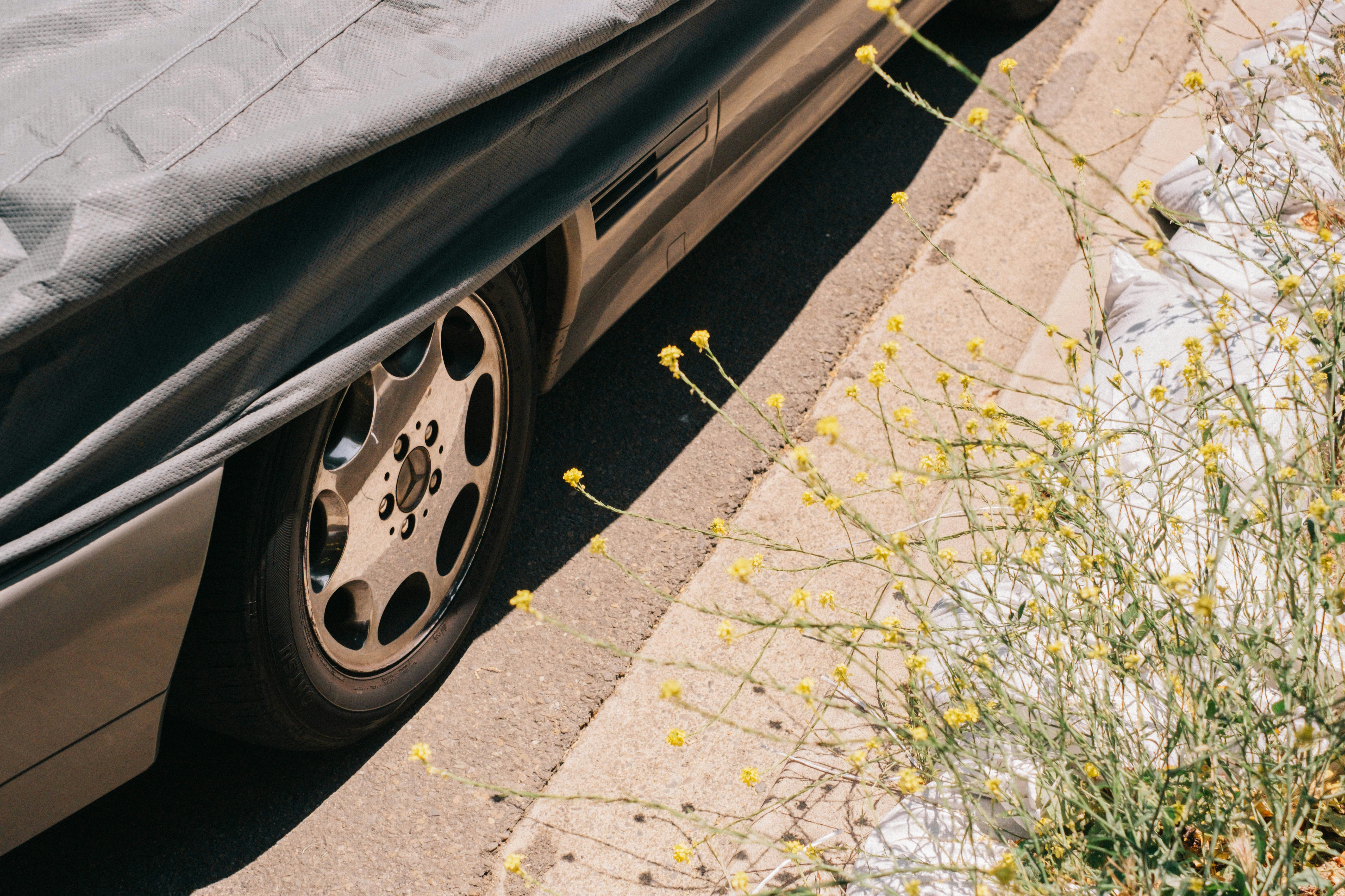 Veiled Sedan by the Curb: A Wheel Emerges Amid Golden Wildflowers