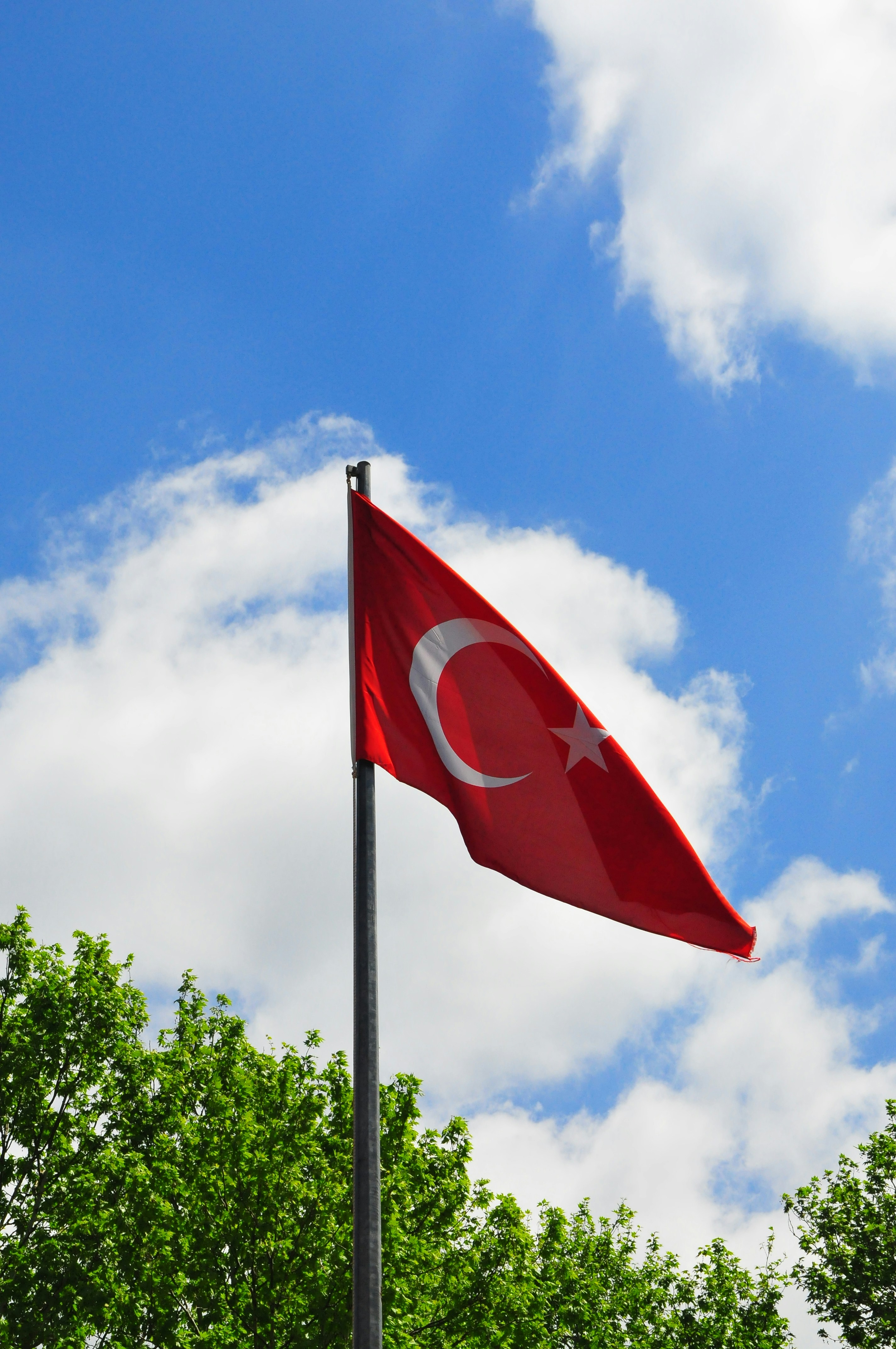 Turkish flag waving proudly against a backdrop of blue sky and scattered clouds, framed by lush greenery.