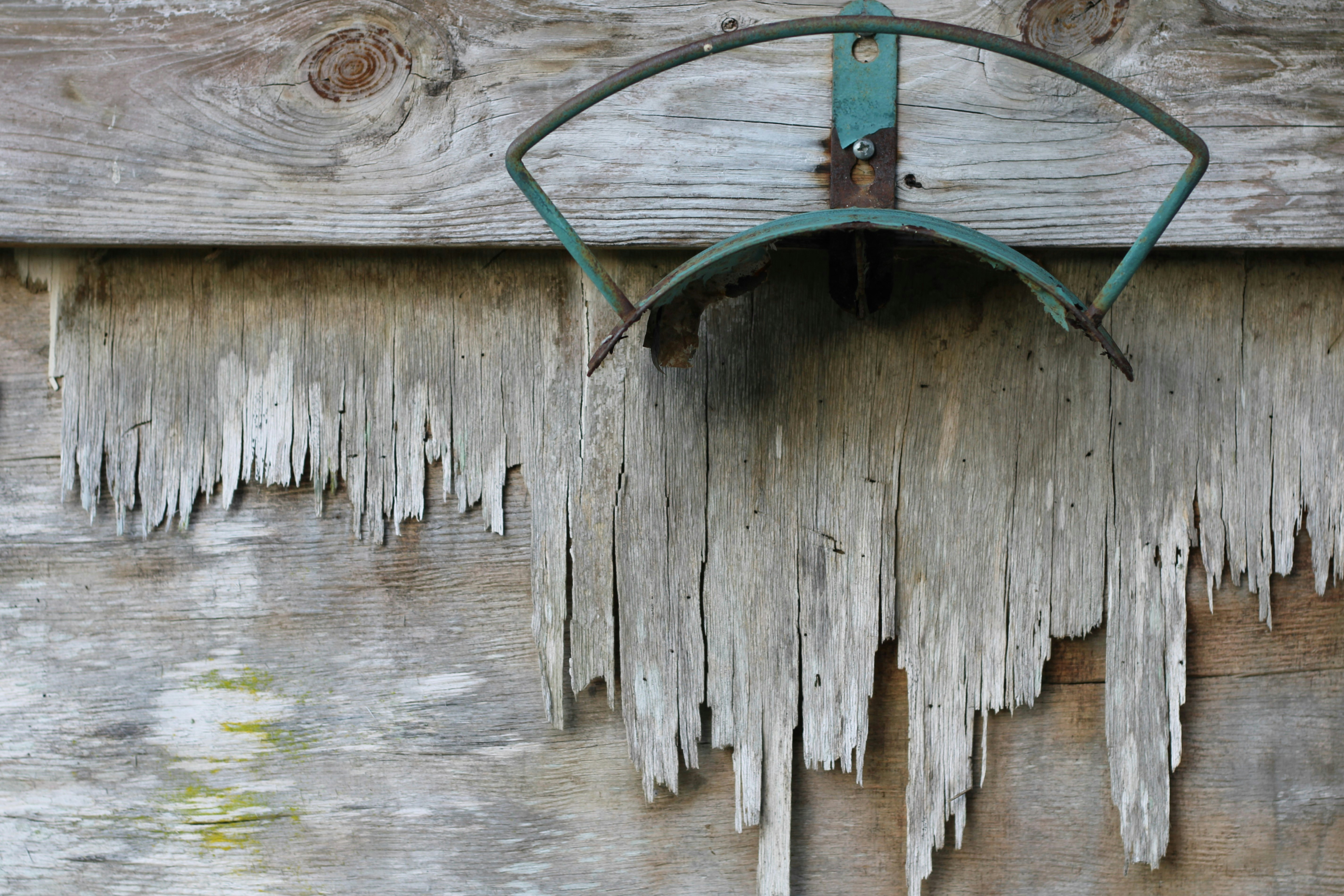 Weathered Whispers of Time