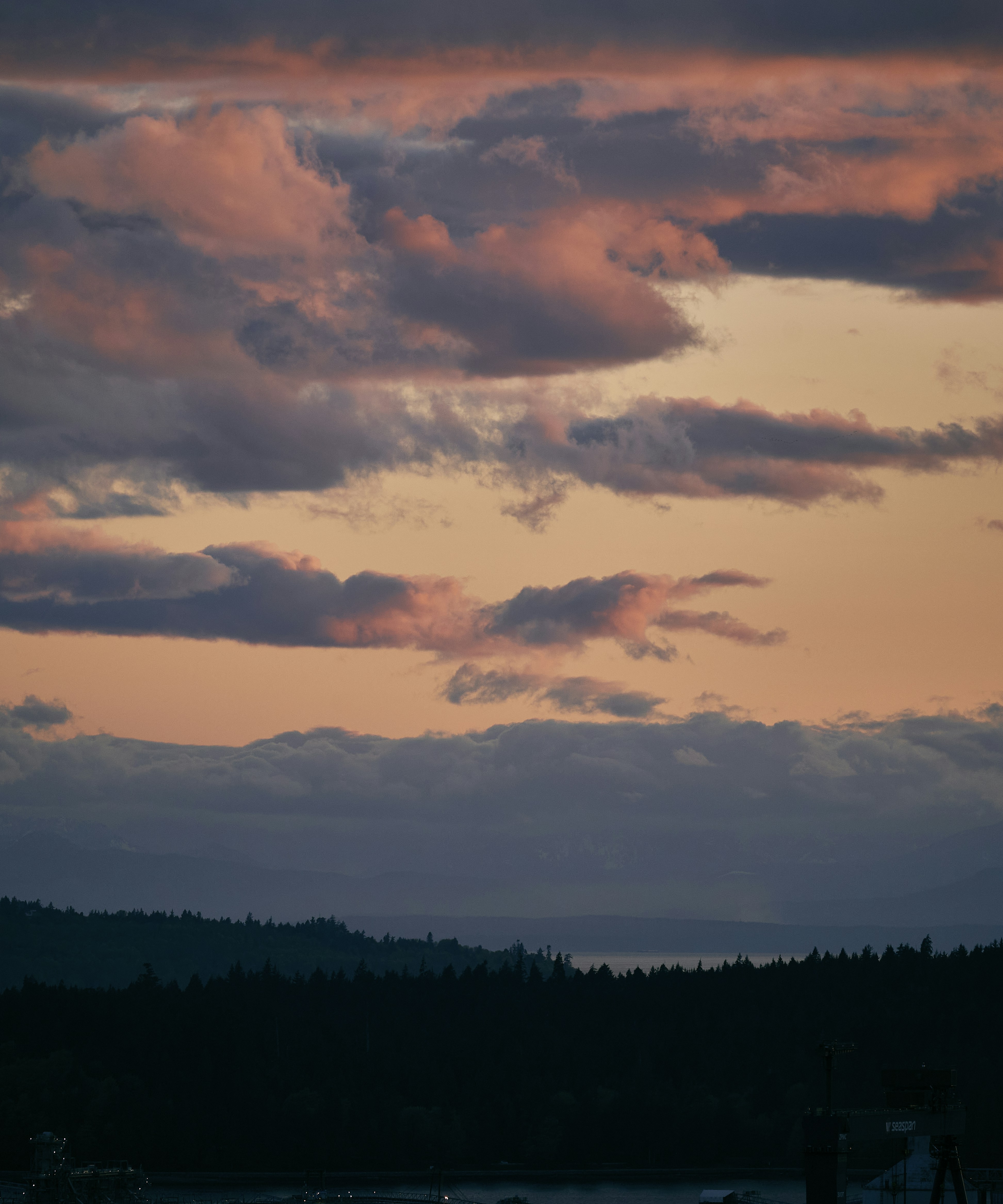 A sunset over a forest photo – Free Grey Image on Unsplash
