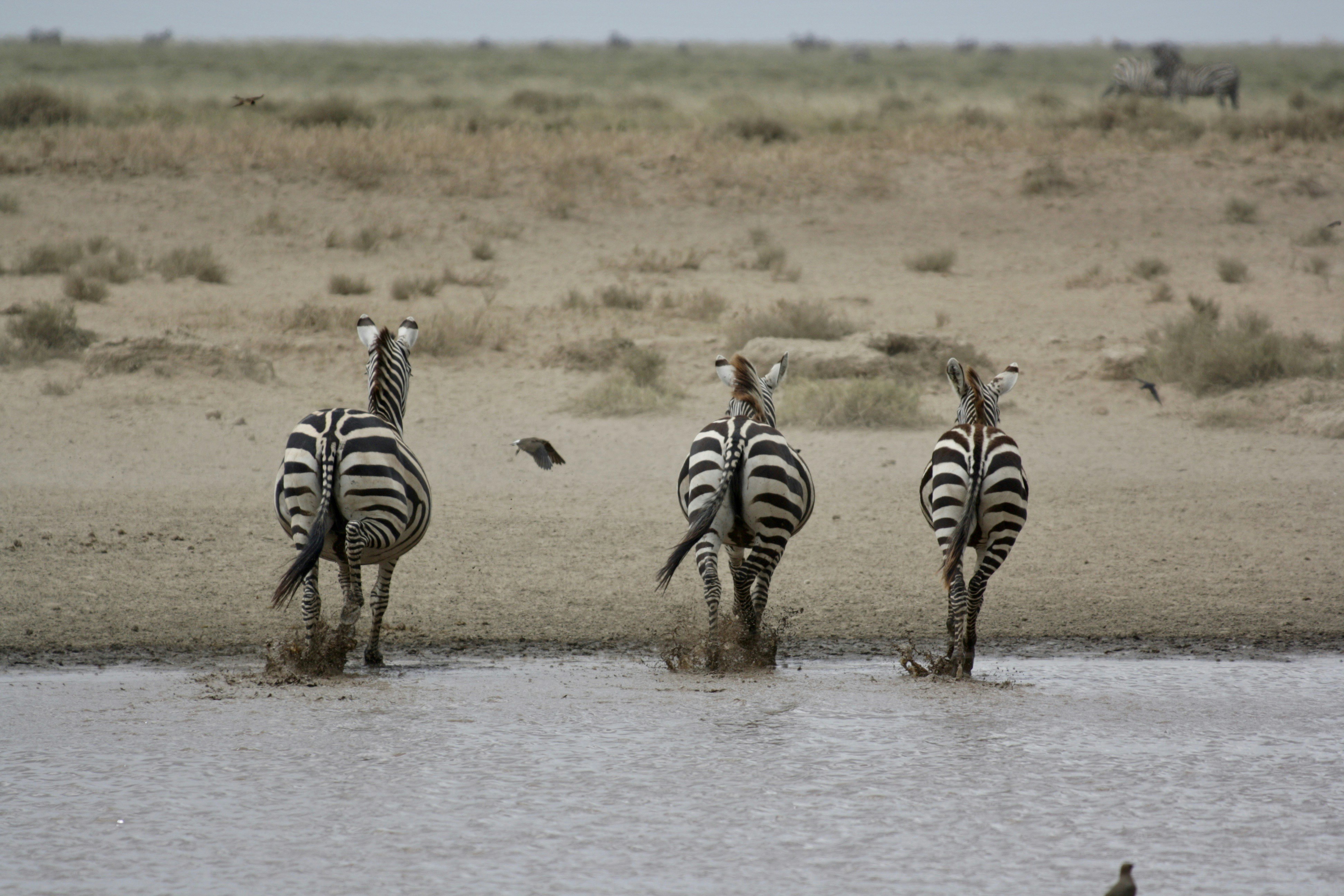 Photo by Eden Biggin with Canon EOS 1000D