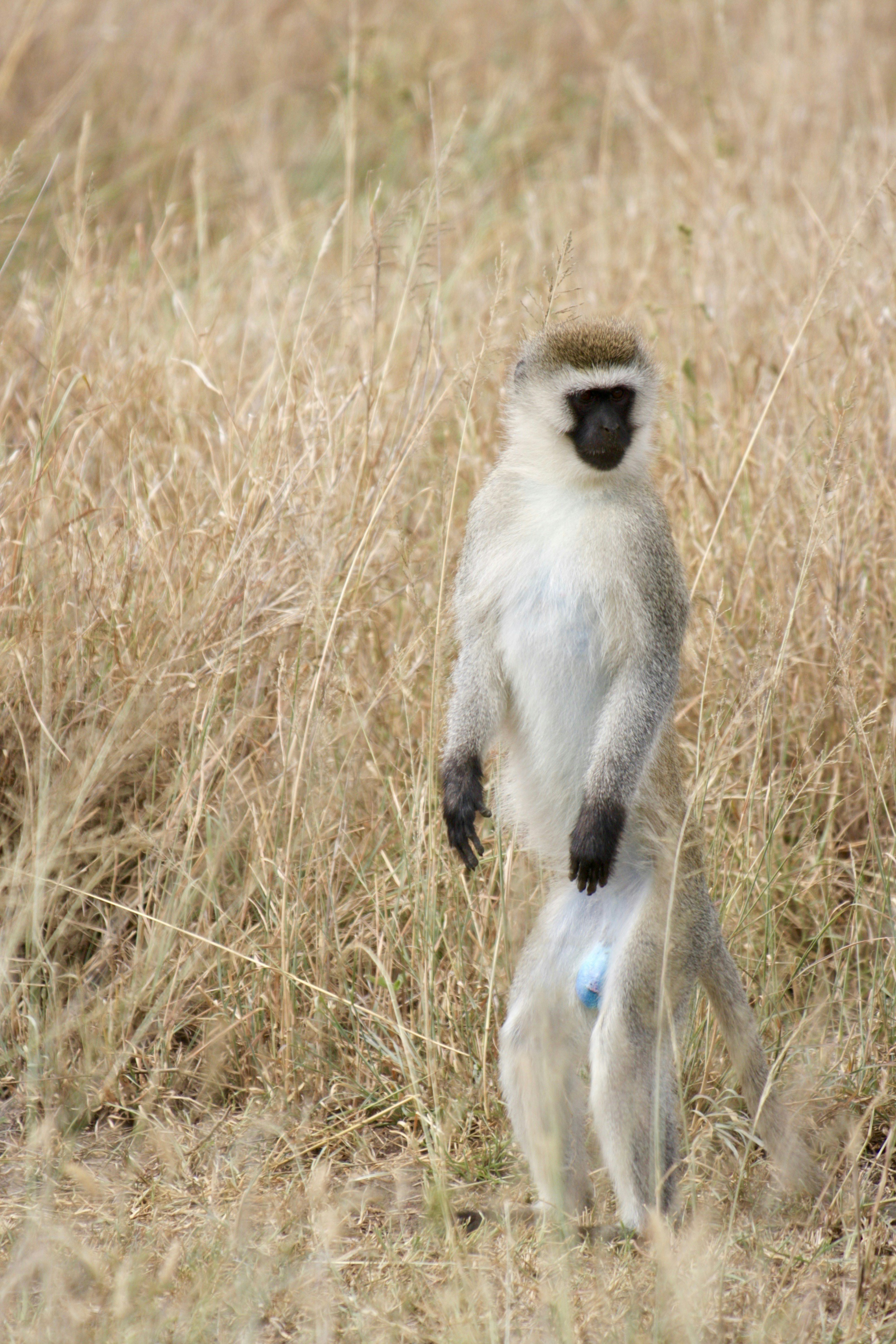 Photo by Eden Biggin with Canon EOS 1000D