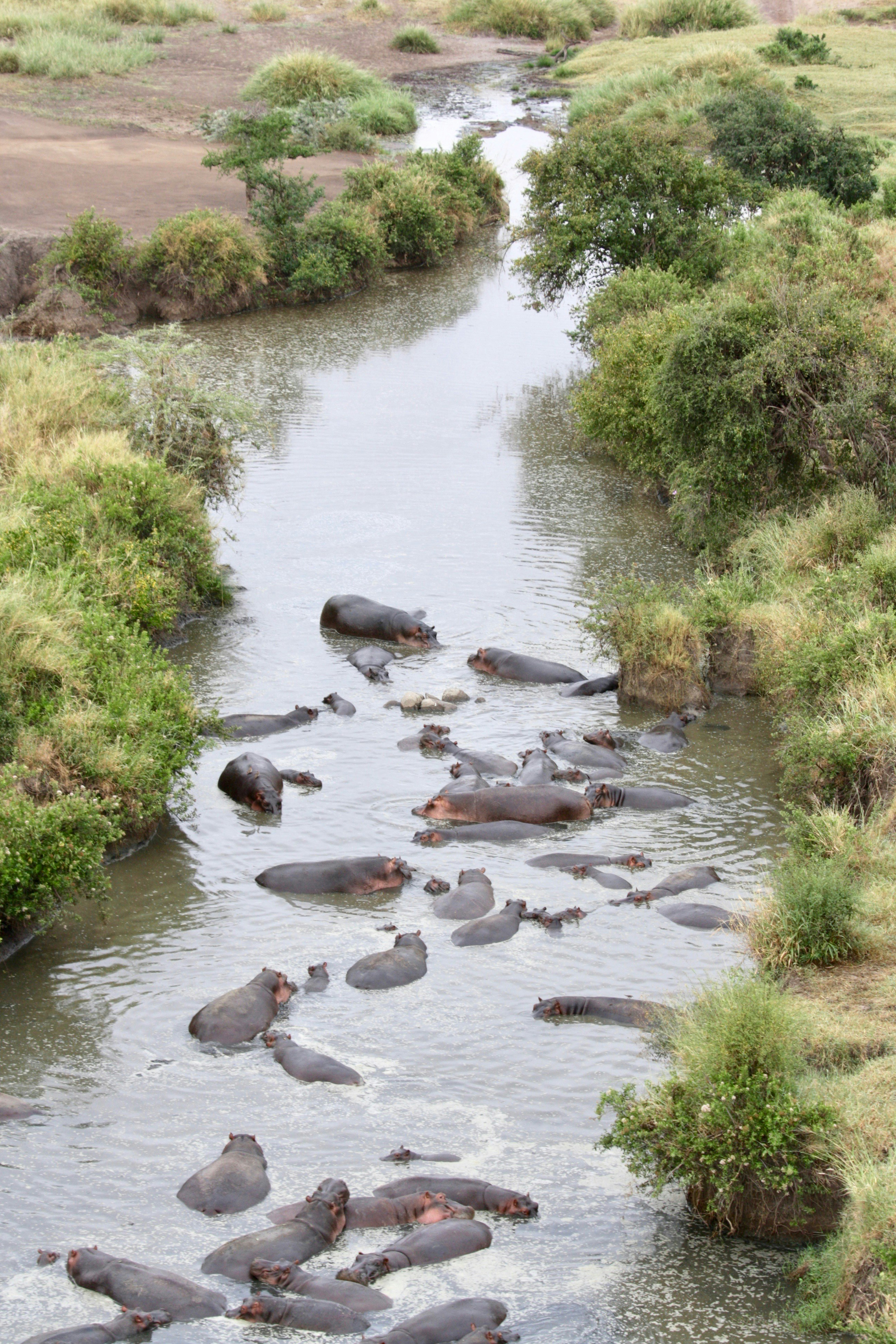 Photo by Eden Biggin with Canon EOS 1000D