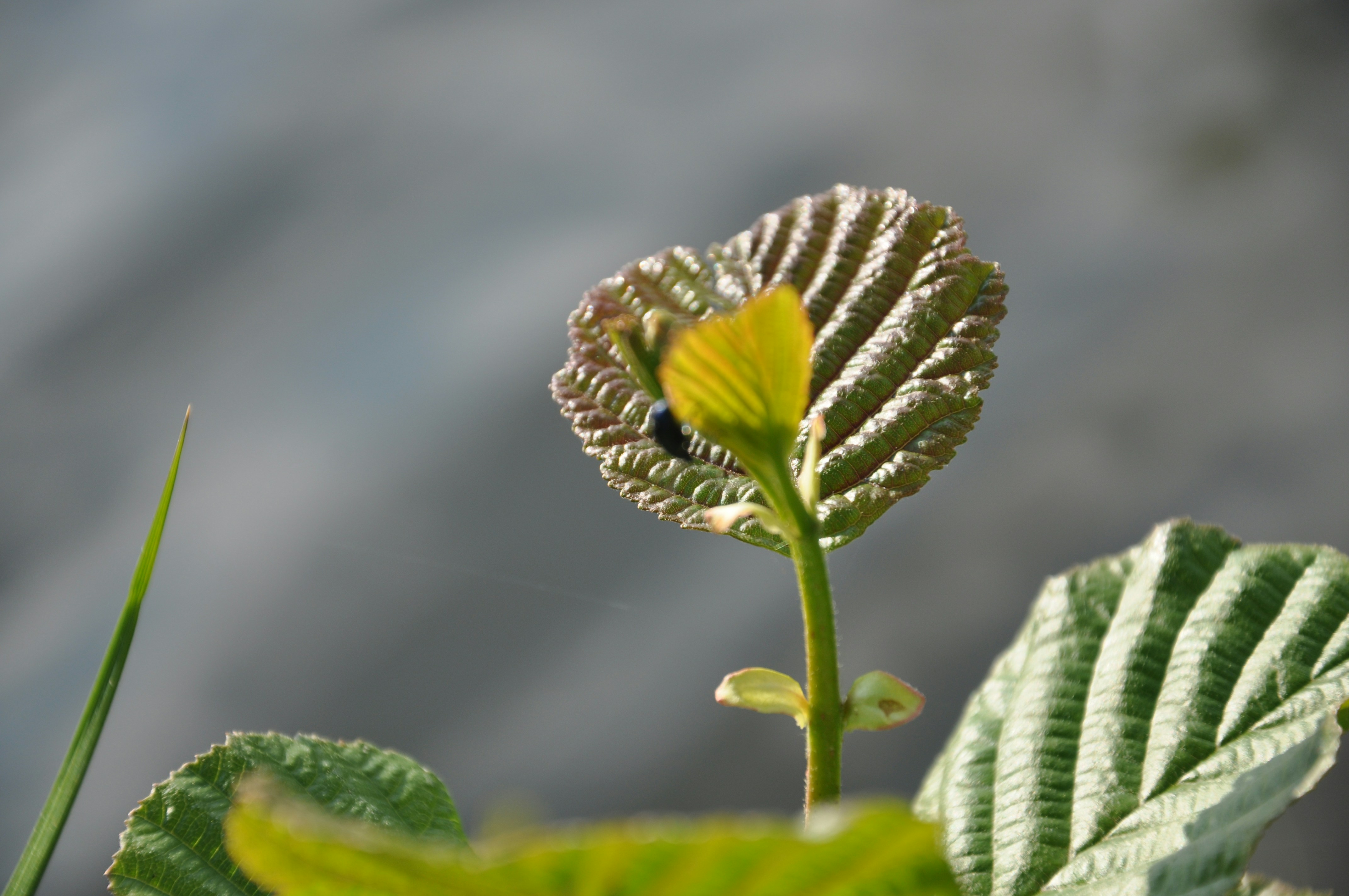 Expanding Pictures | Download Free Images on Unsplash