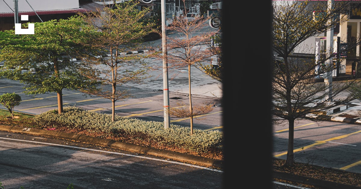 나무와 건물이 있는 거리 사진 Unsplash의 무료 말레이시아 이미지