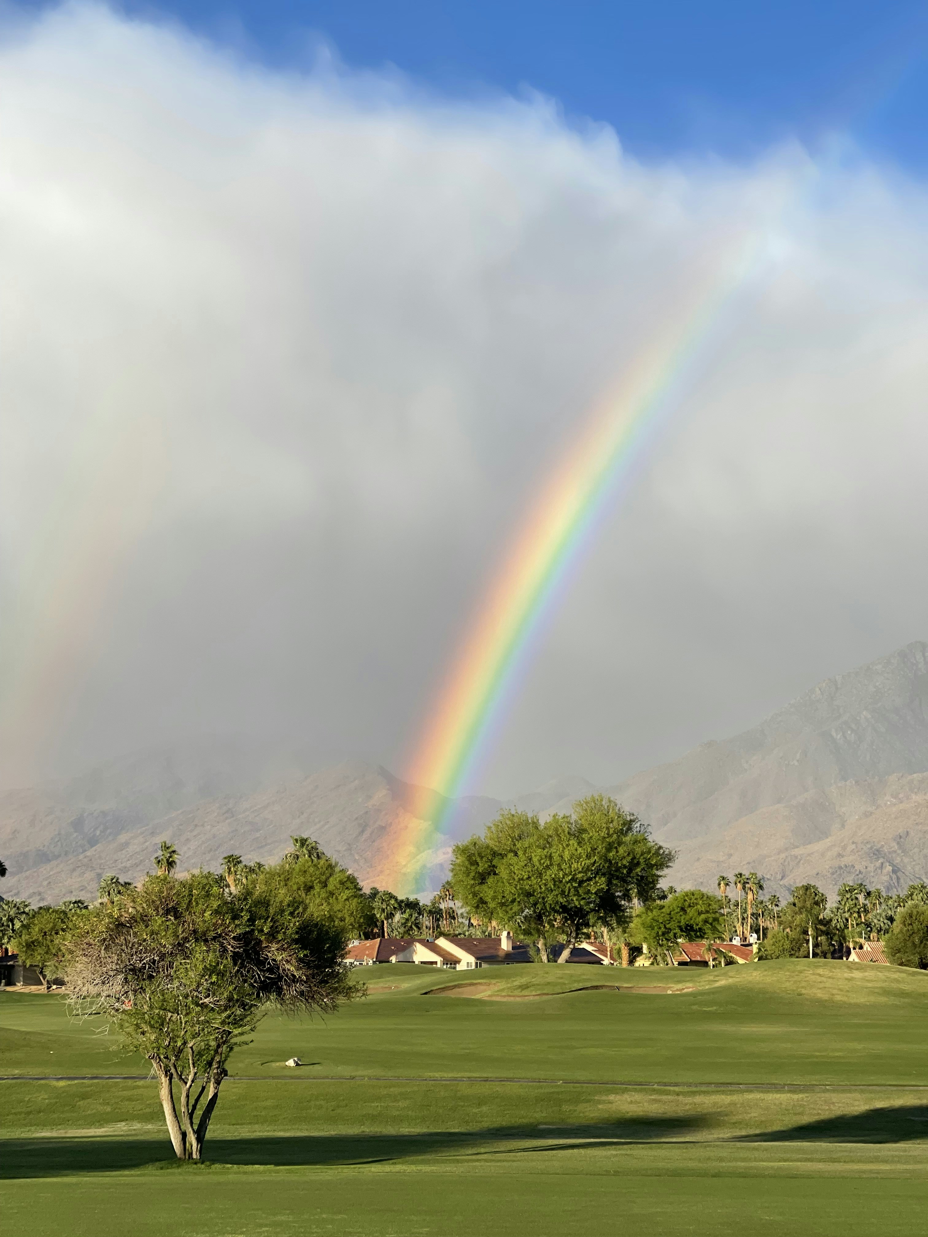 Rainbow