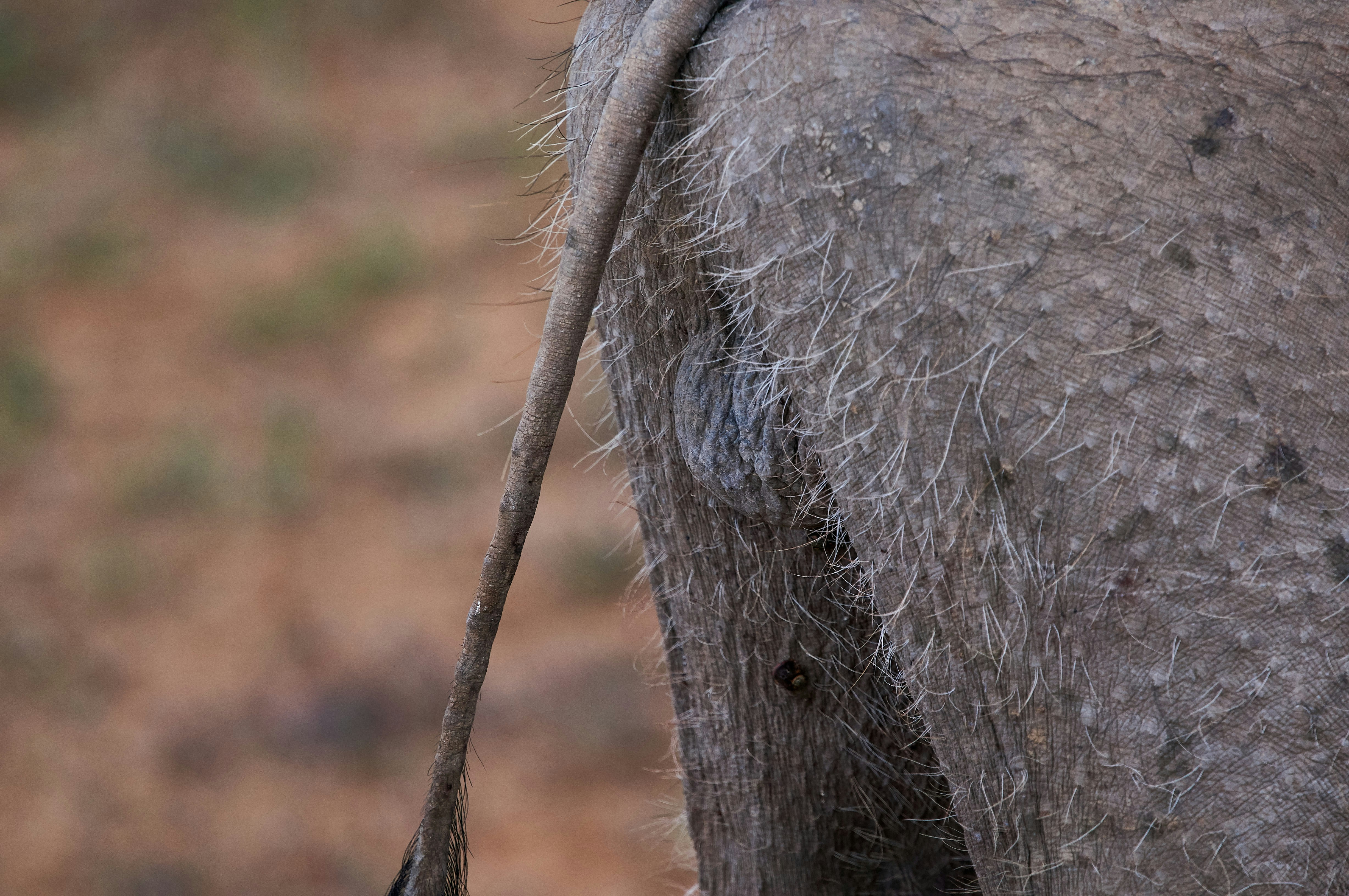 a close up of a tree trunk