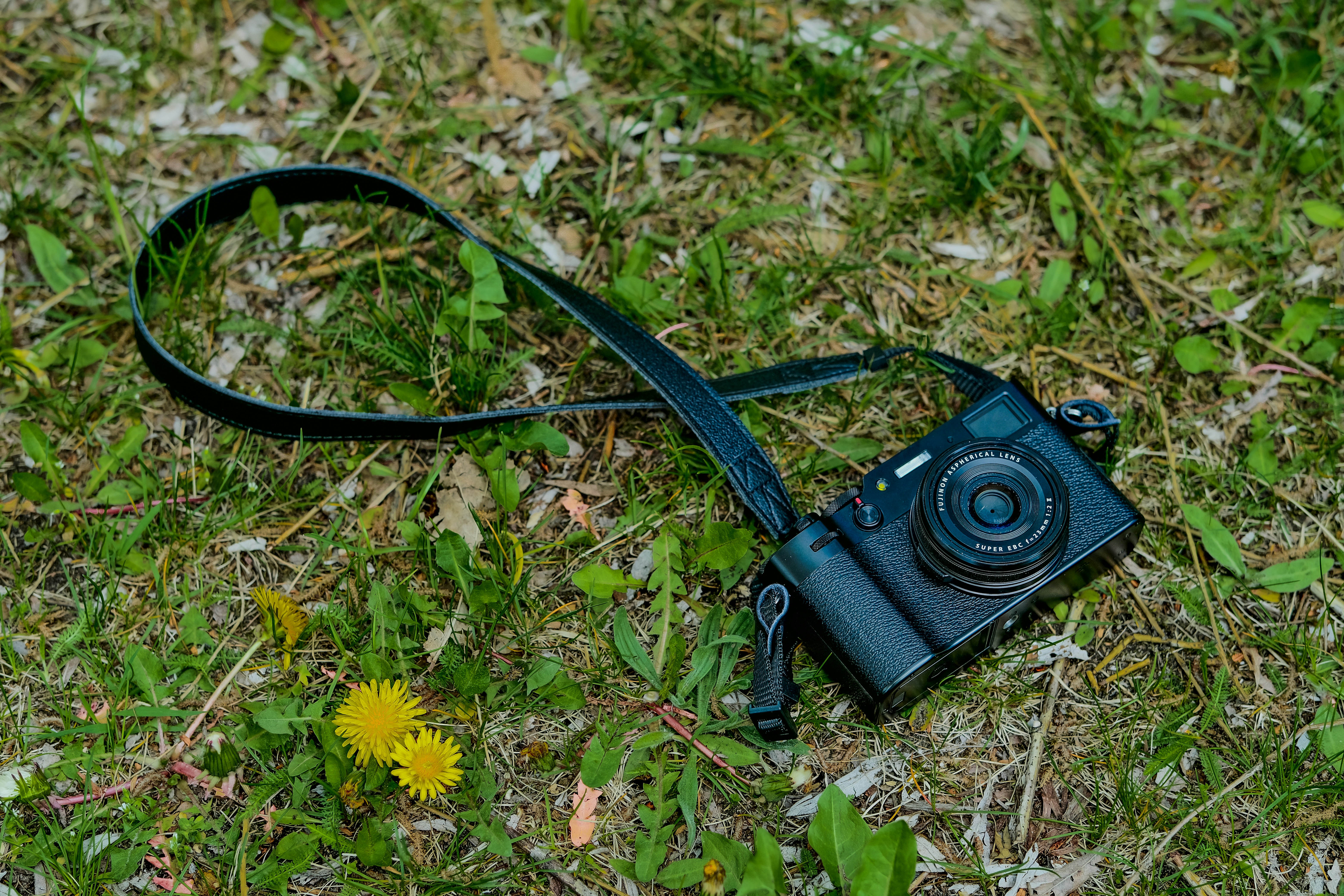 Meadow Pause: A Fujifilm X-T4 Reclines Amid Grass and Dandelions