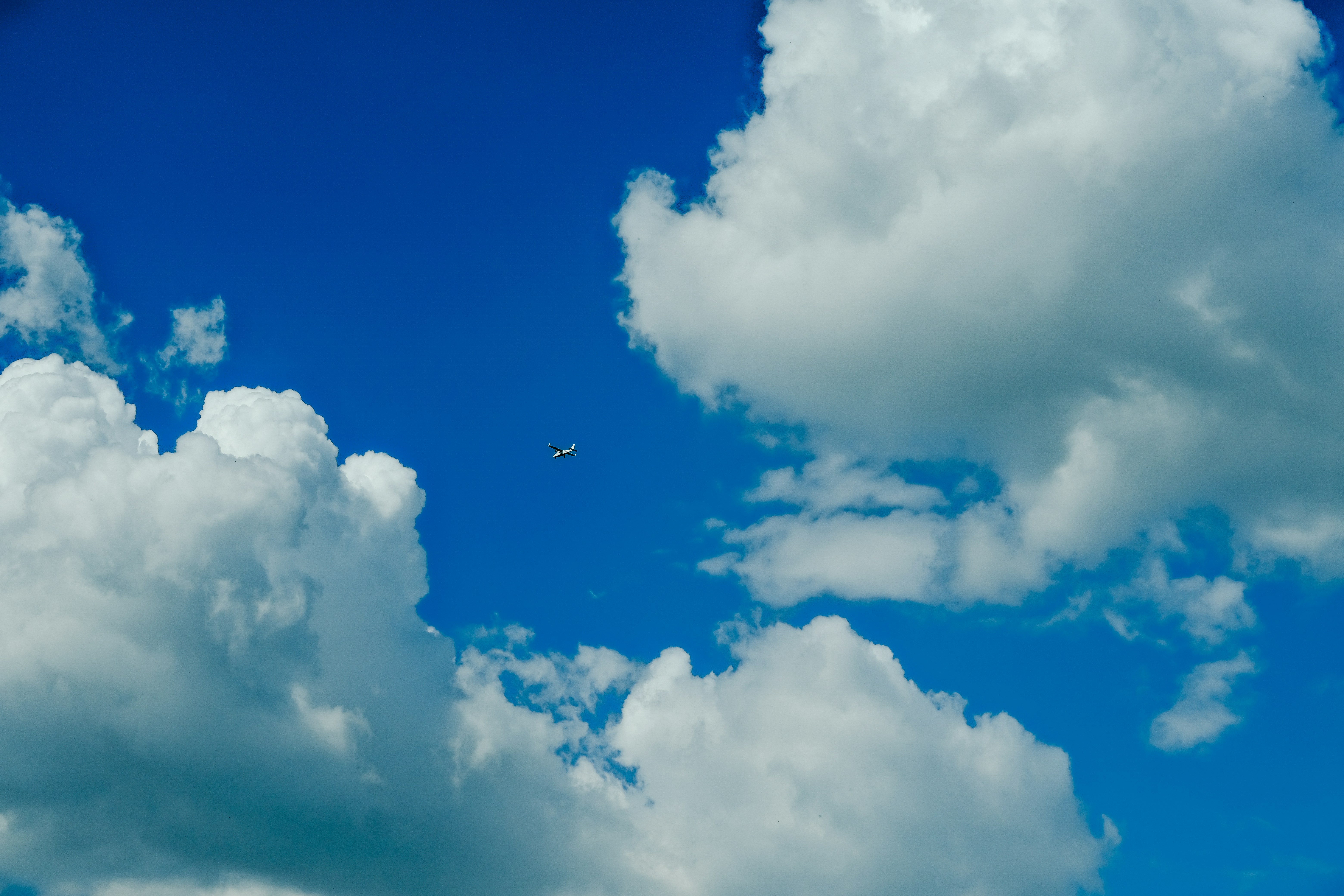 Camera: Fujifilm X-T4
Film recipe: PRO Negative Plus
Edit: Lightroom 
Locarion: Poznan, Poland