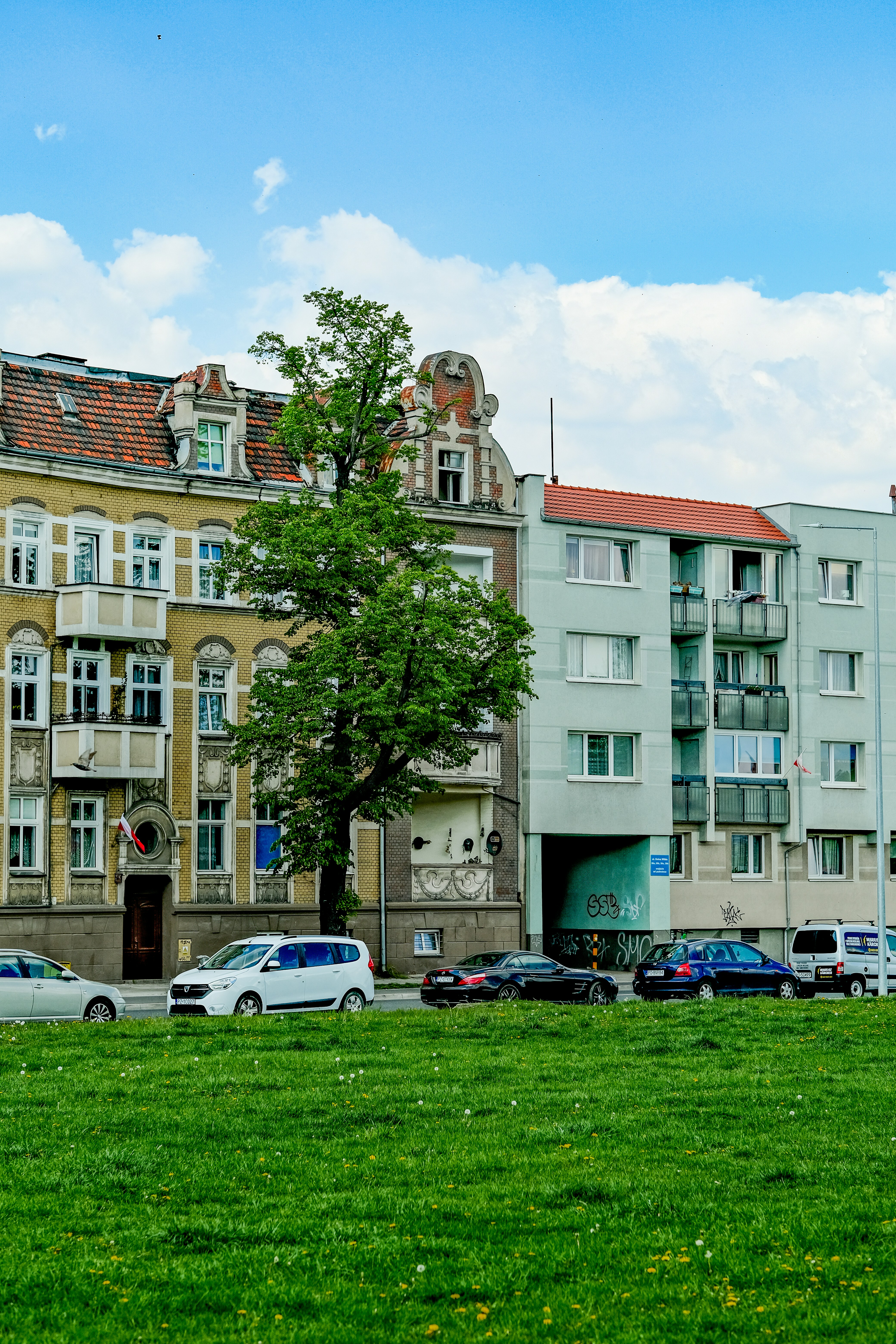 A vibrant city scene showcasing a lush tree alongside contrasting architectural styles, blending nature with urban life.