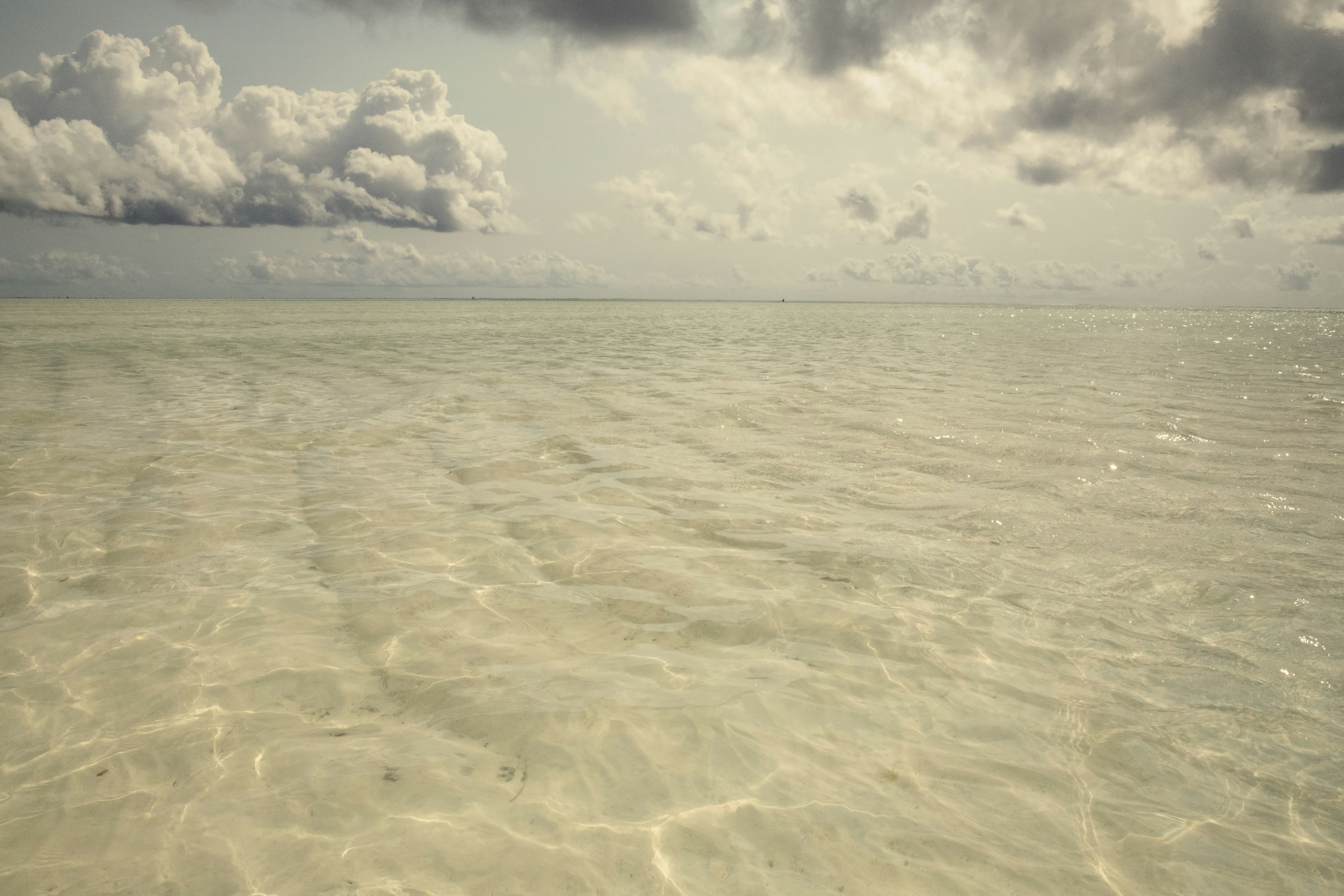 Glass Shallows: Horizon Line over Crystal Waters