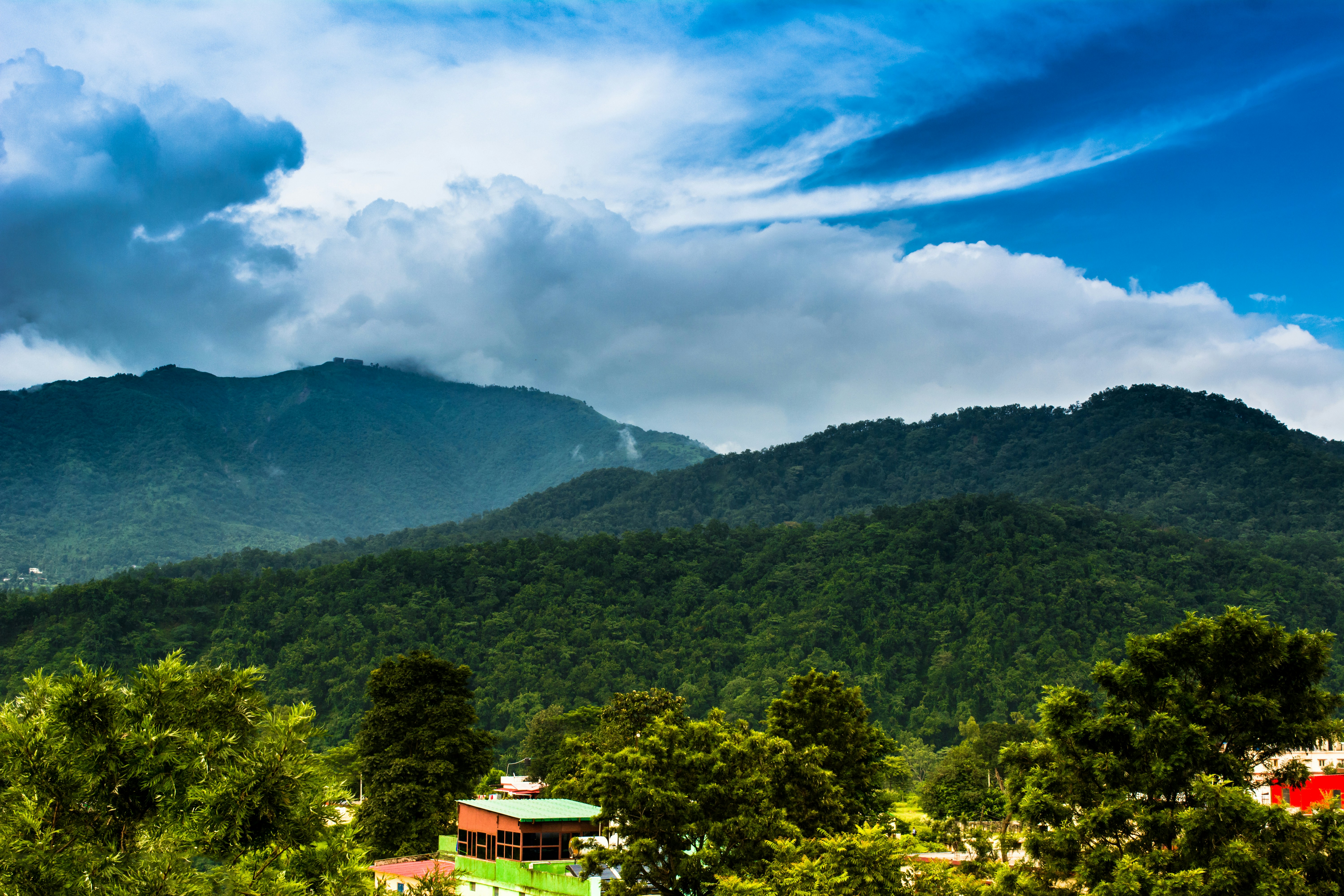 A house in the middle of a forest photo – Free Bidholi Image on Unsplash