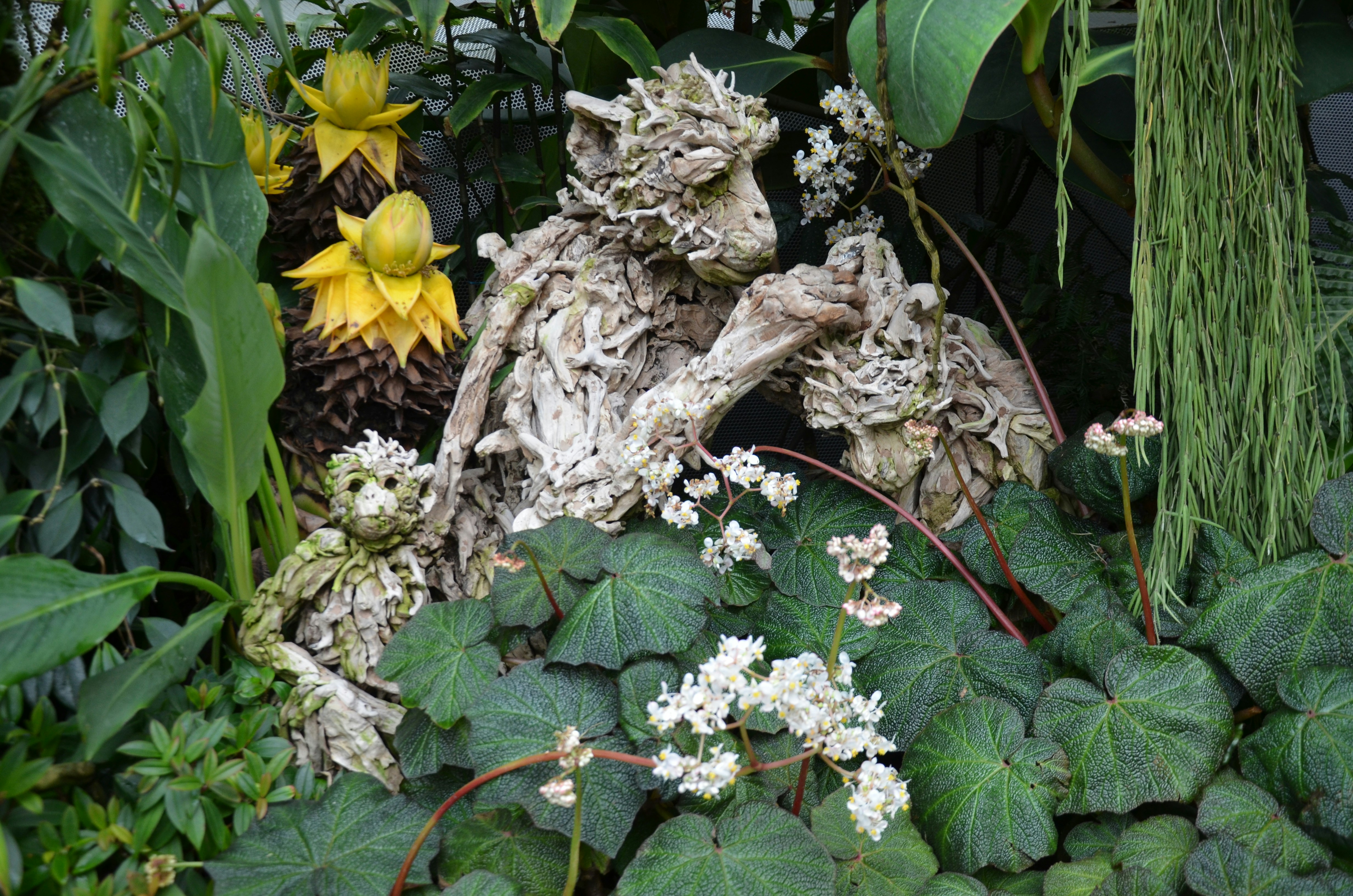Whimsical Granite Creature Blooming Amid Tropical Foliage