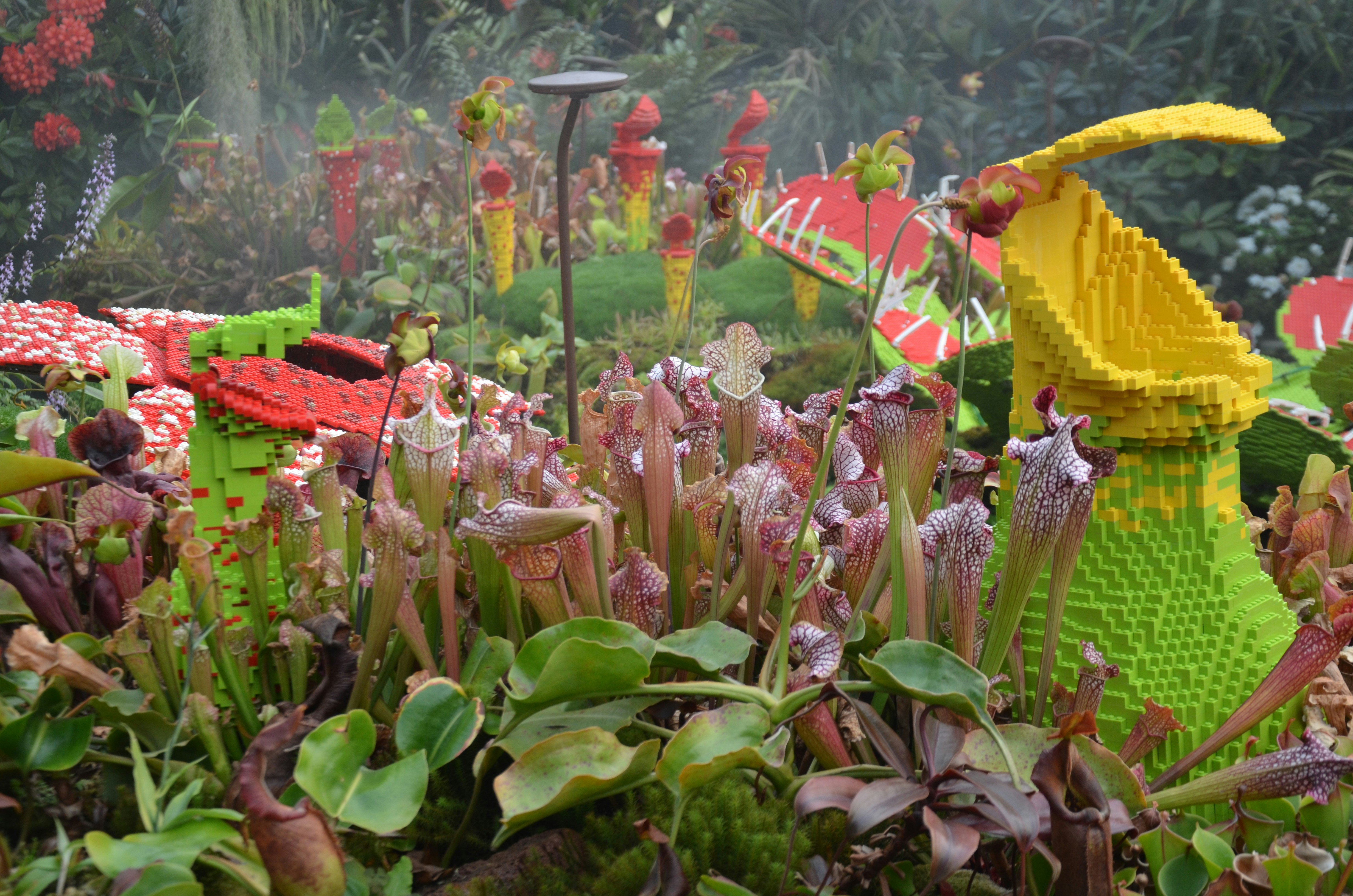 Brick Garden Odyssey: Neon LEGO Sculptures Guard a Pitcher-Plant Bed