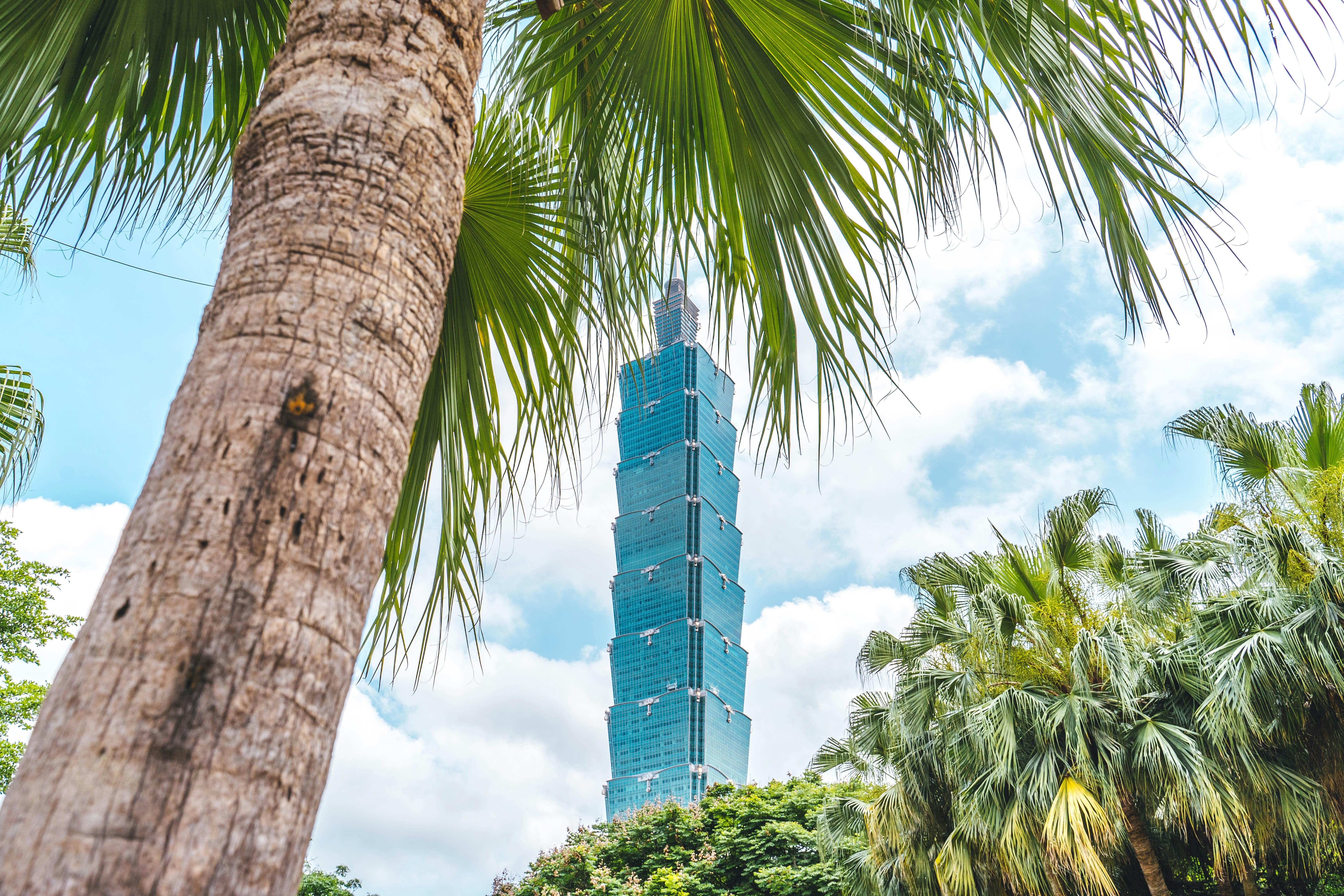 A tall building behind palm trees photo – Free Taiwan Image on Unsplash