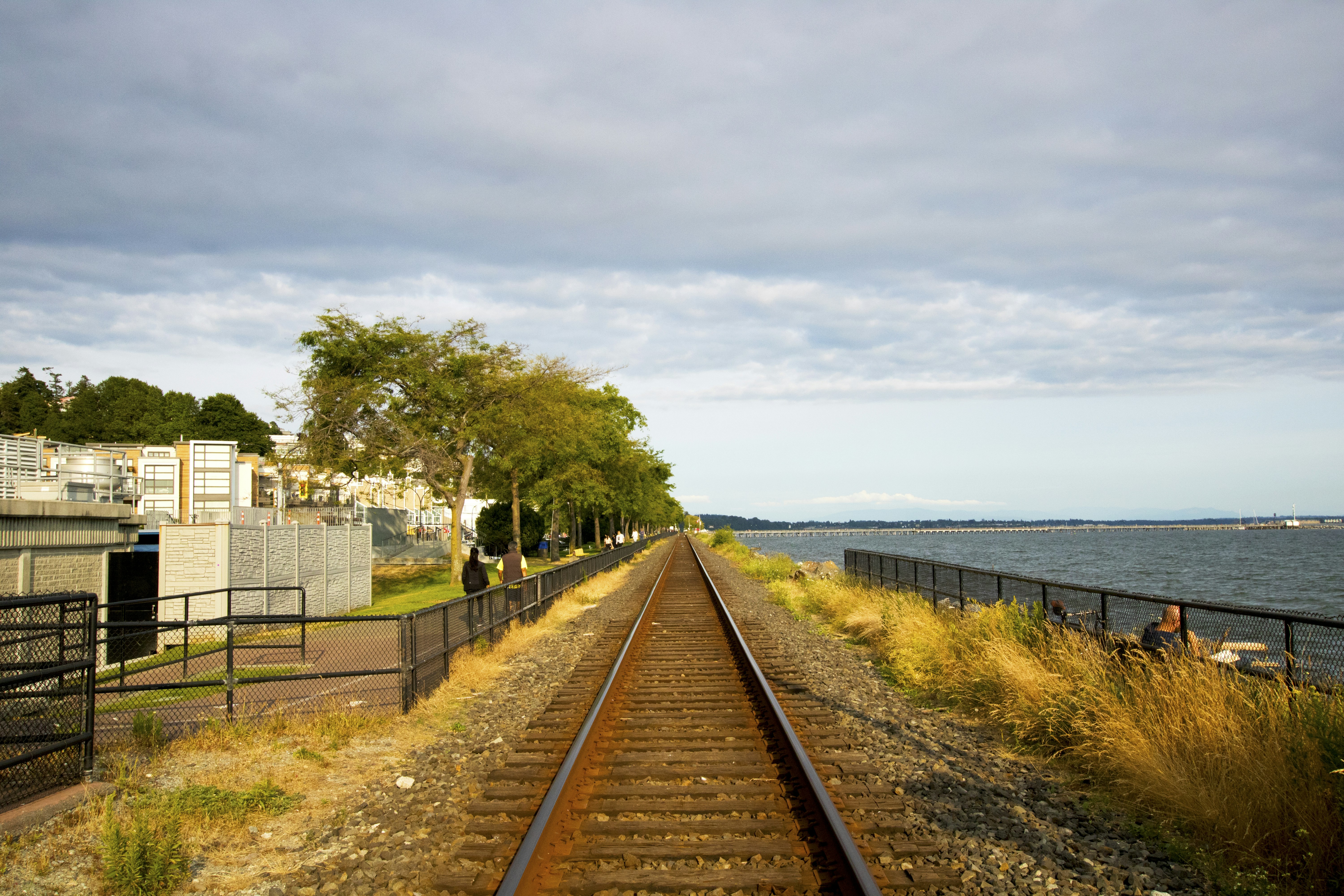 Railway tracks lead towards a serene waterfront, framed by lush trees and a distant horizon. The scene captures a peaceful coexistence of nature and infrastructure.