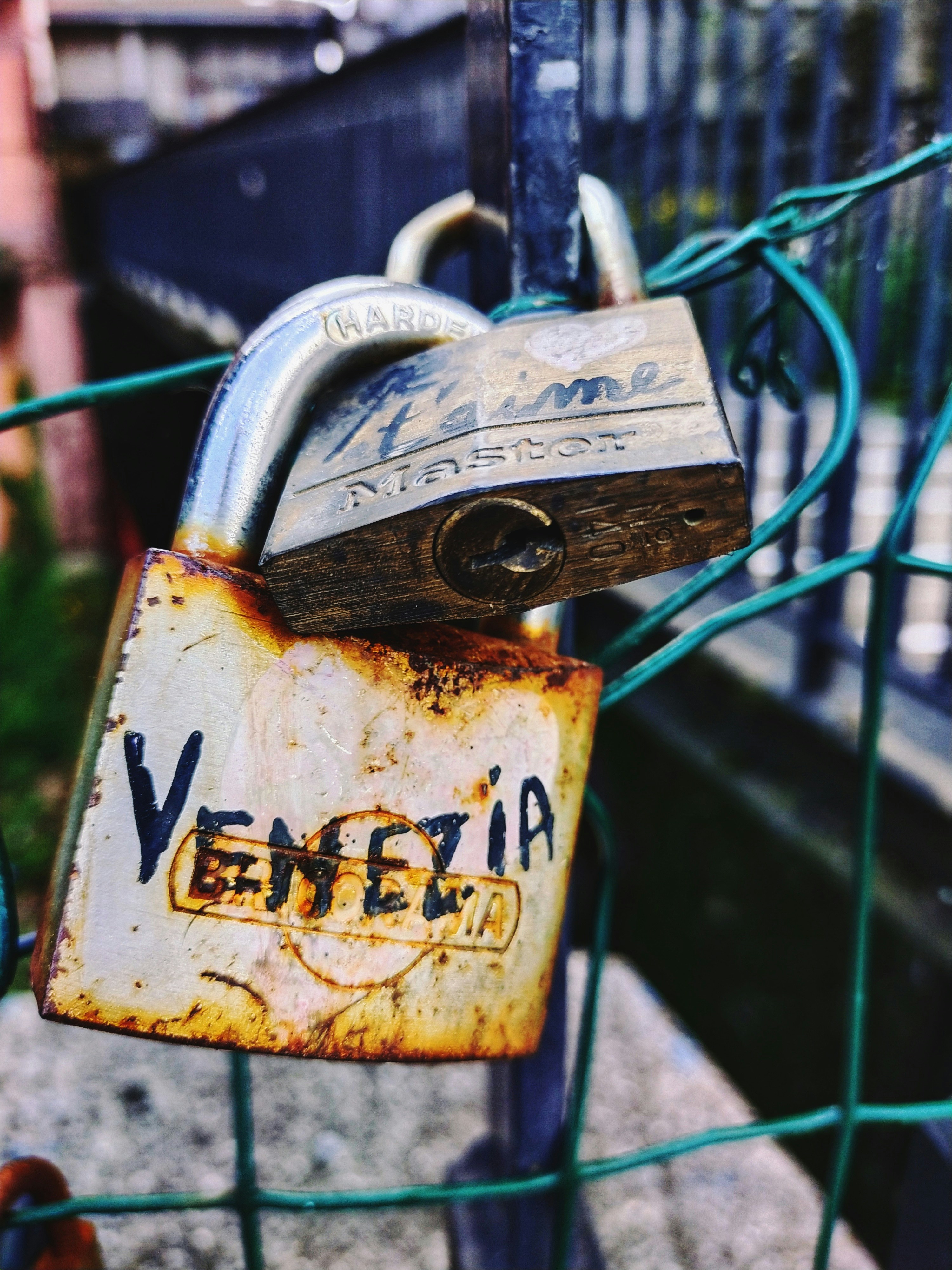 Rusty padlocks cling to a green wire fence, one weathered with the word 'VENEZIA' faintly visible; the scene conveys urban wear and pseudo-security in a candid street setting.