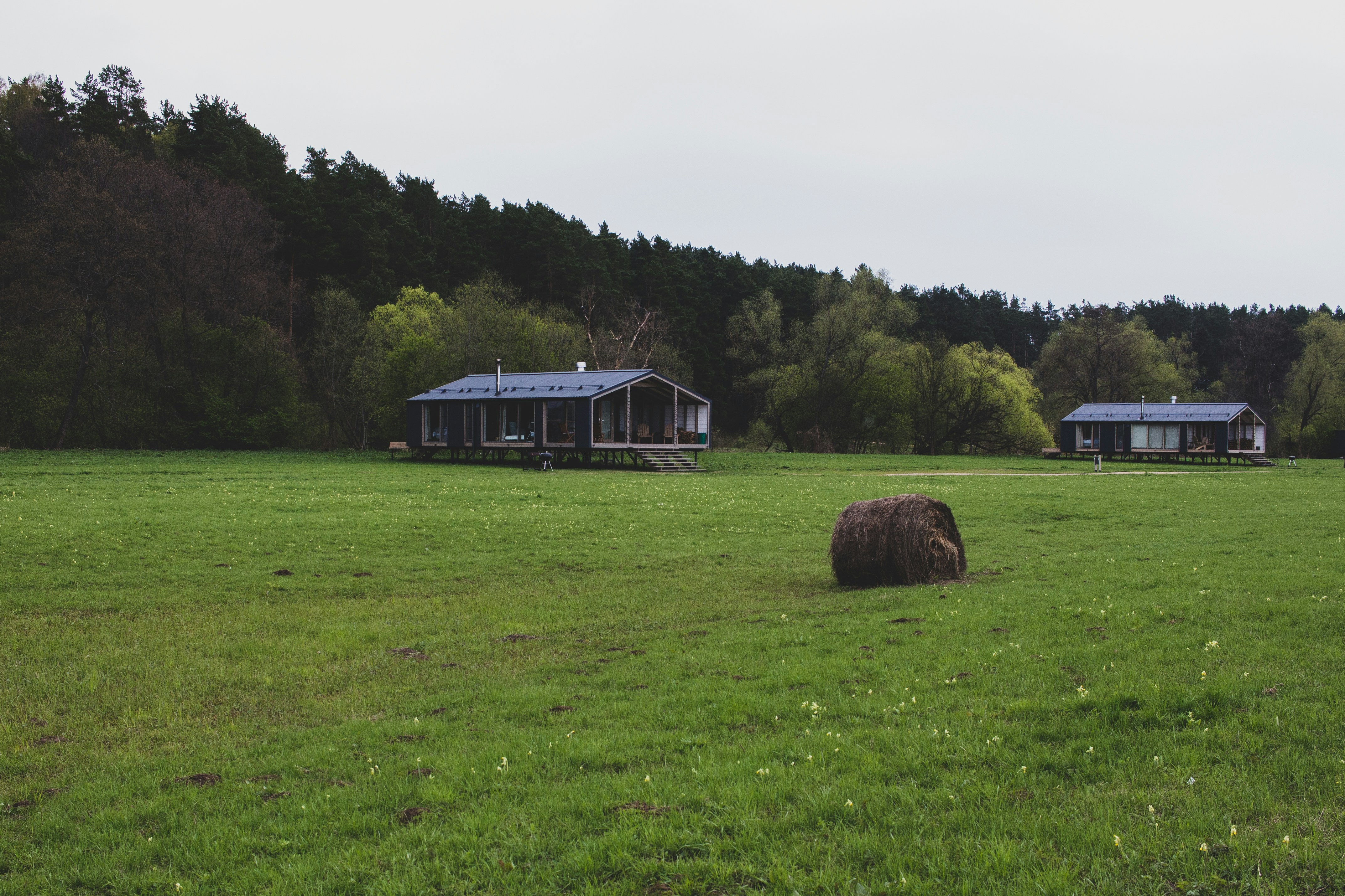 Hay Bale Between Meadow and Horizon: Quiet Farmstead