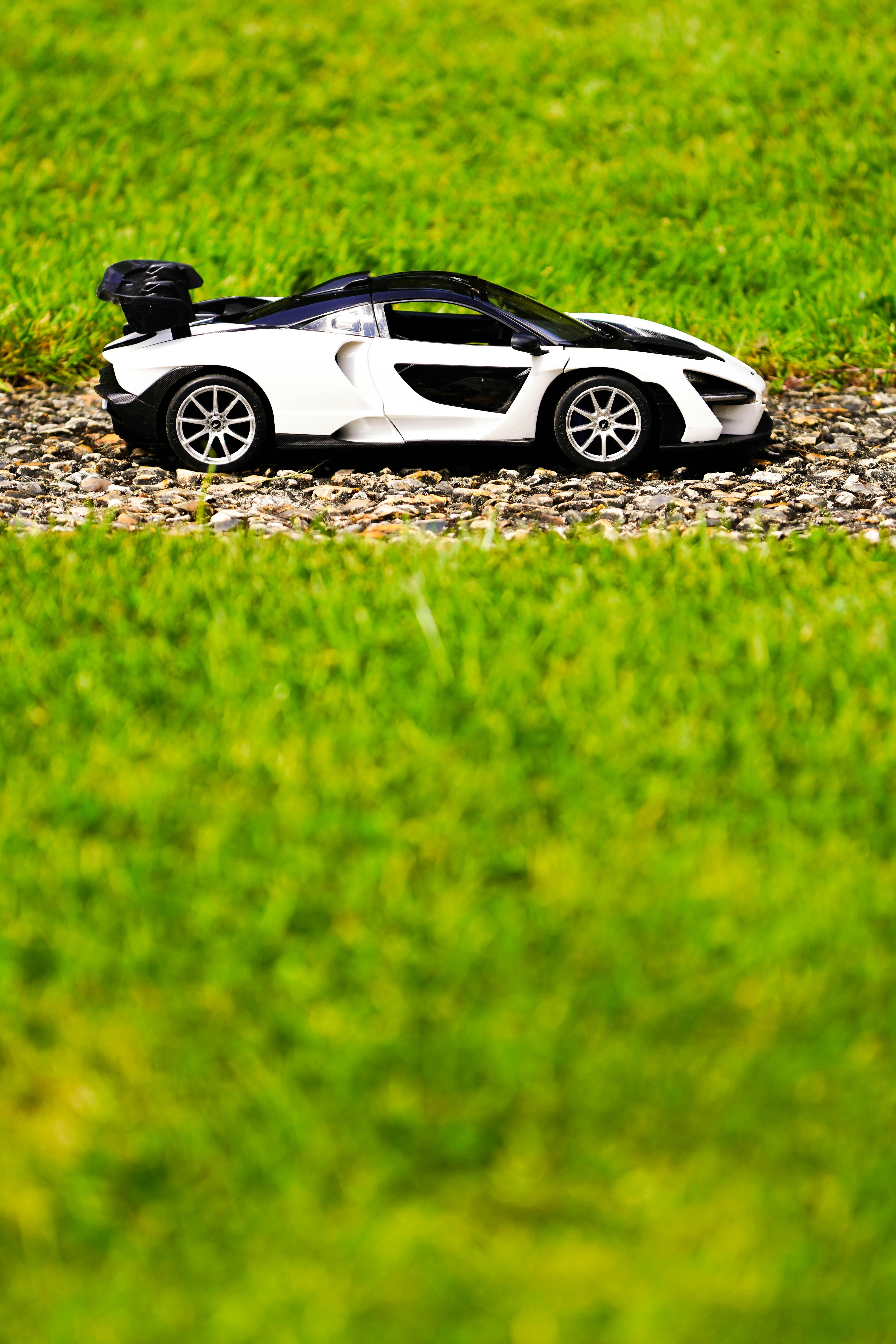 Verdant Field, Tiny Racer: A White Toy Supercar on a Pebble Lane