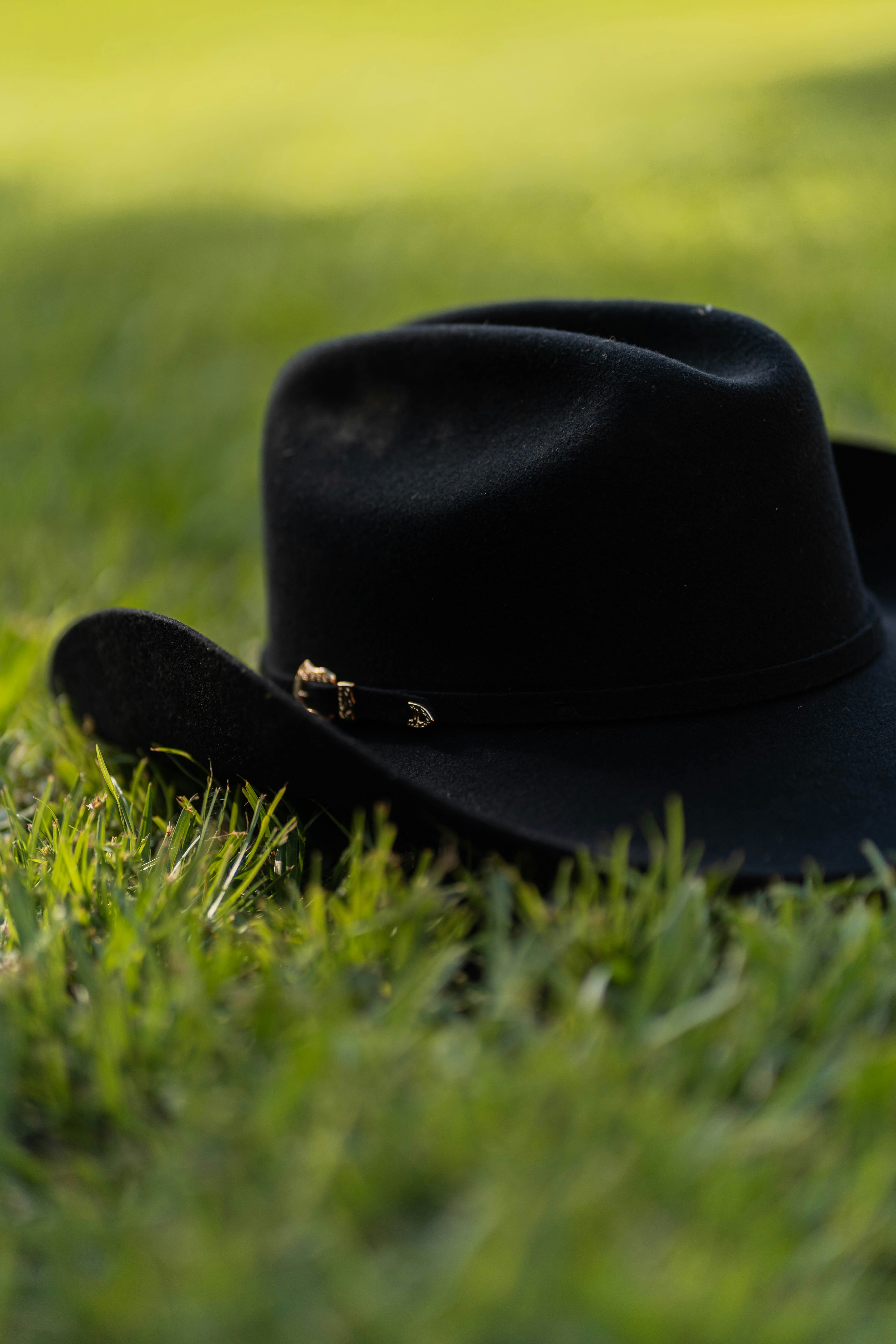 Fedora in the Grass: A Black Hat Amid Bright Greens