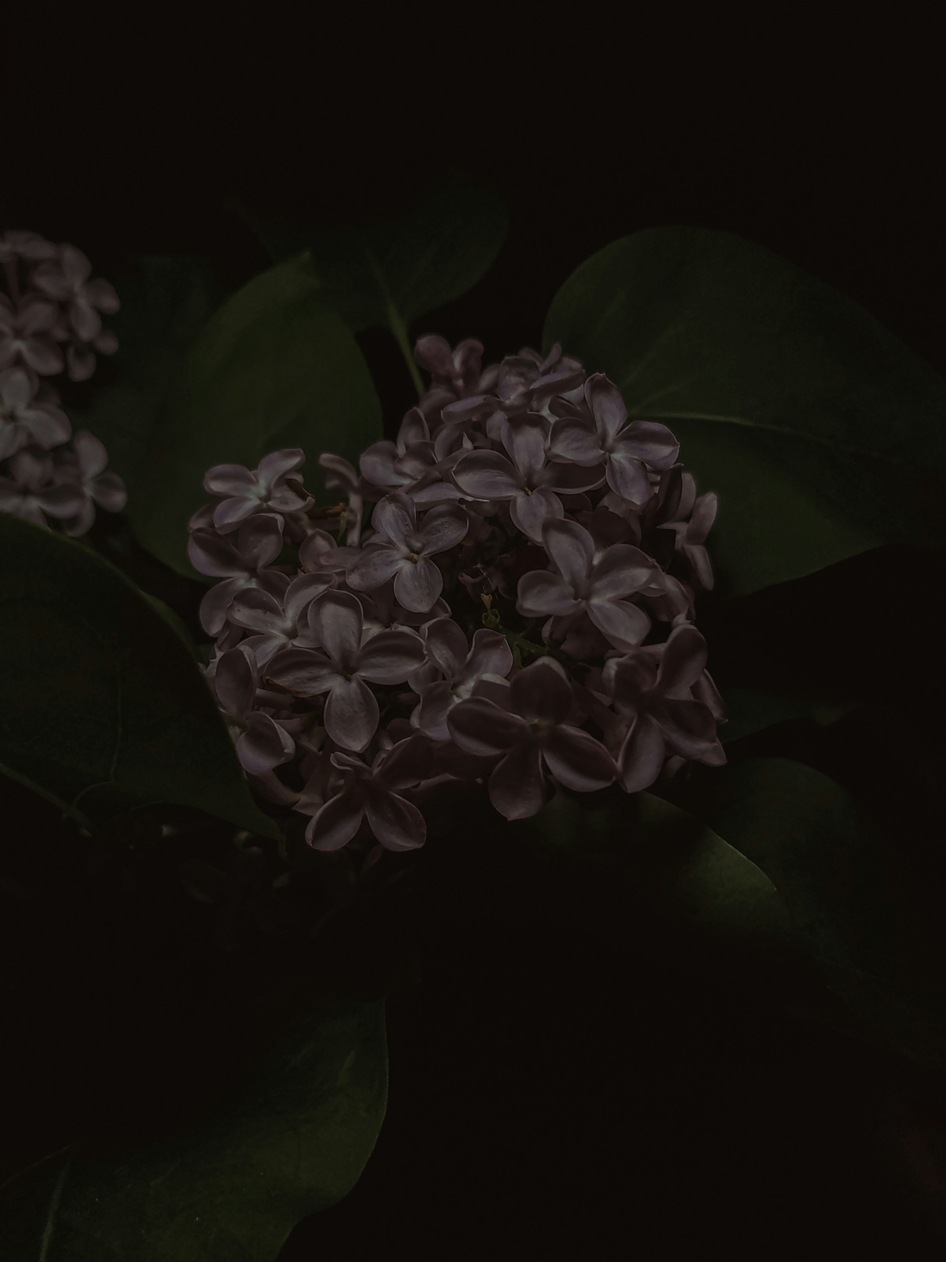 Timis Alexandra (@alexandratimis) | Communauté photos Unsplash