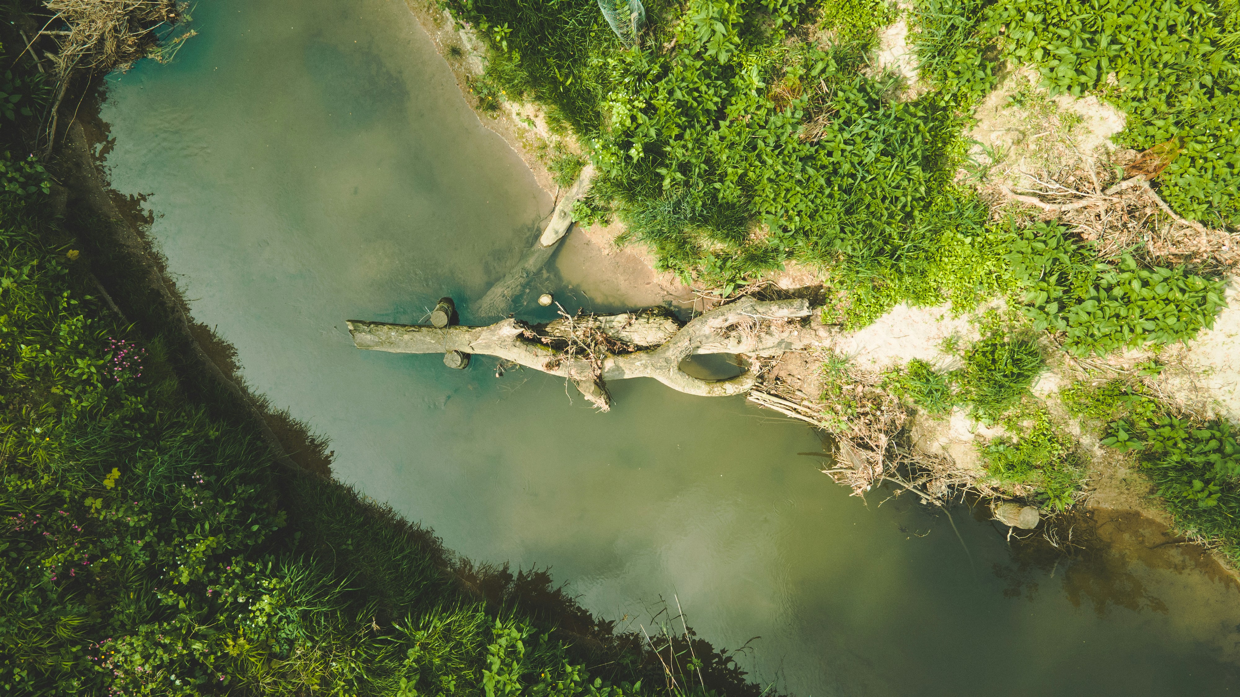 Photo by Pascal Scholl with DJI Air 2S