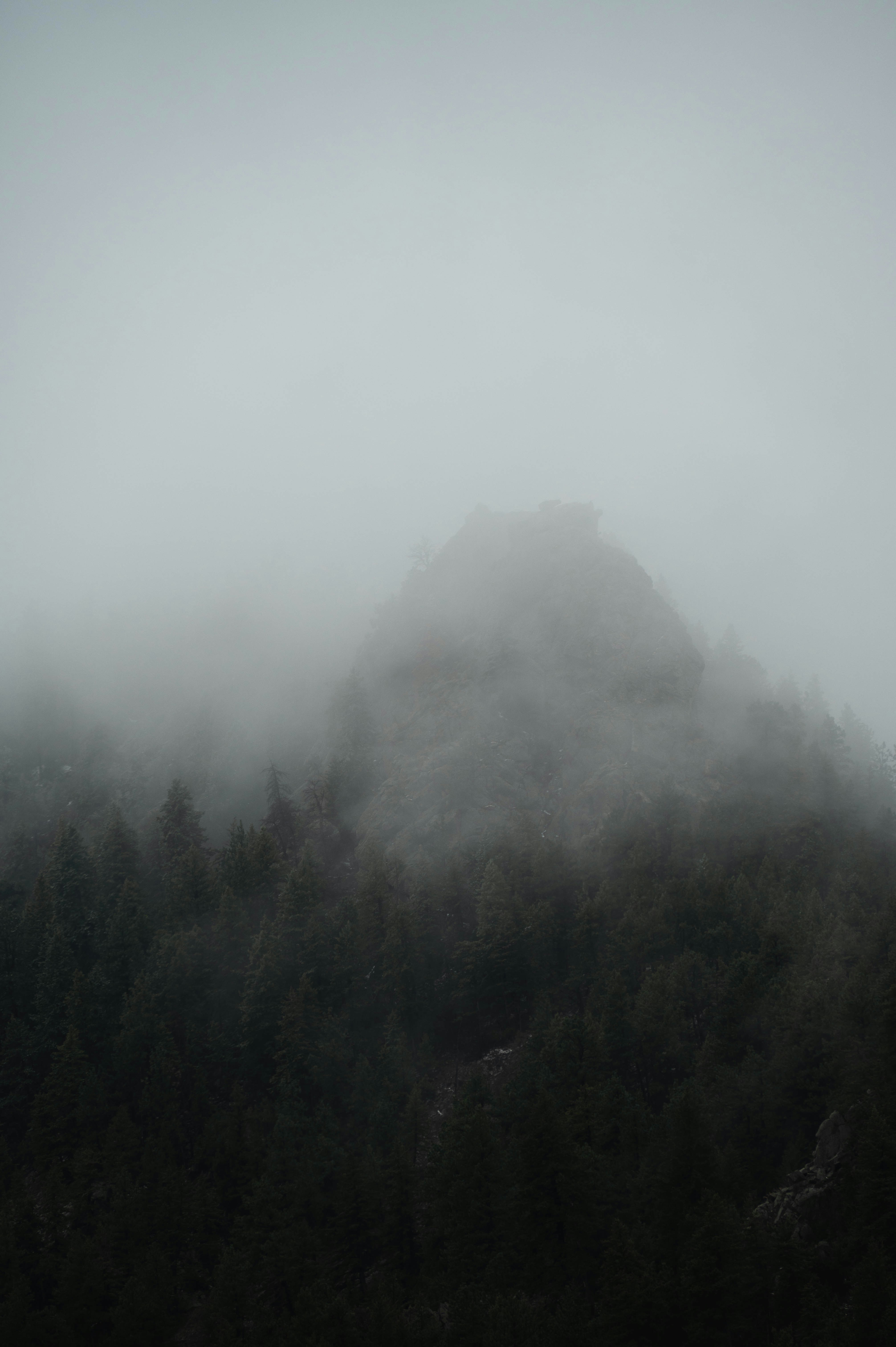 Misty mountain peak shrouded in fog, surrounded by dense evergreen trees. The atmosphere evokes a sense of mystery and tranquility.