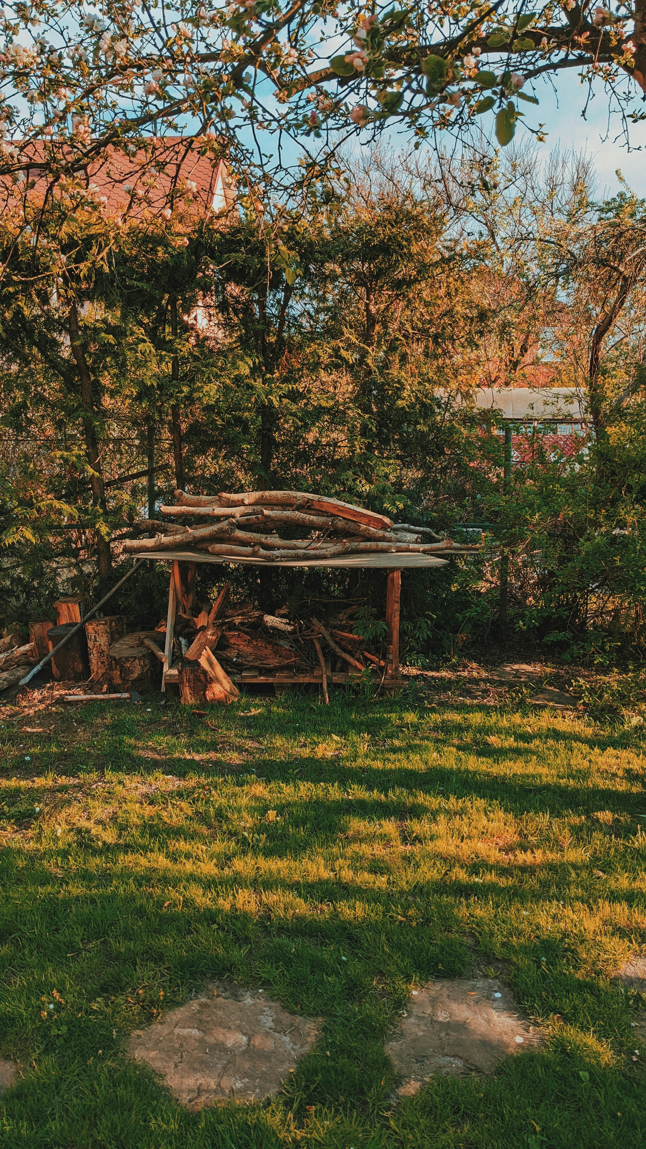Autumn Woodpile Under a Canopy of Branches