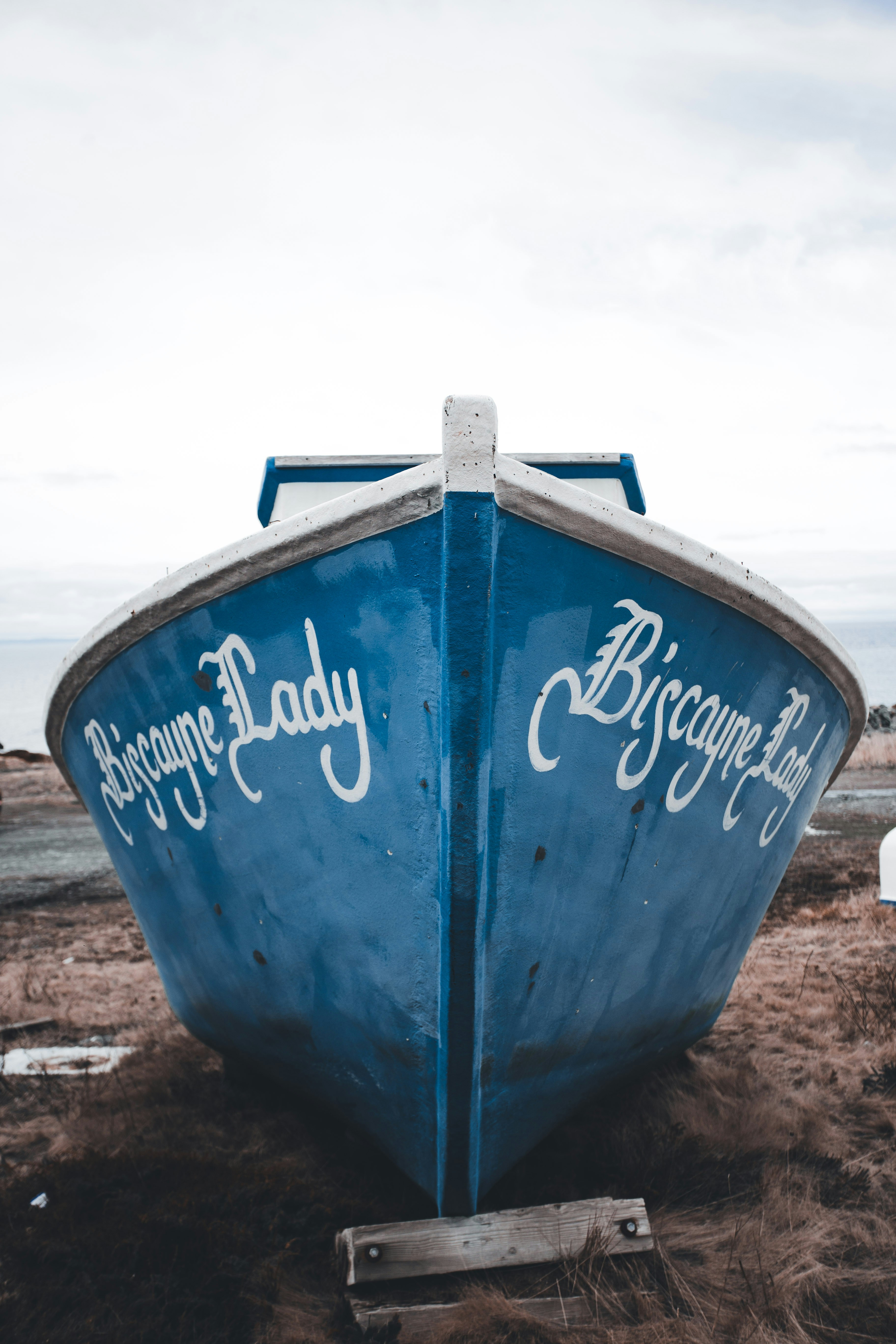 Biscayne Lady: Symmetrical Blue Bow on a Quiet Shore