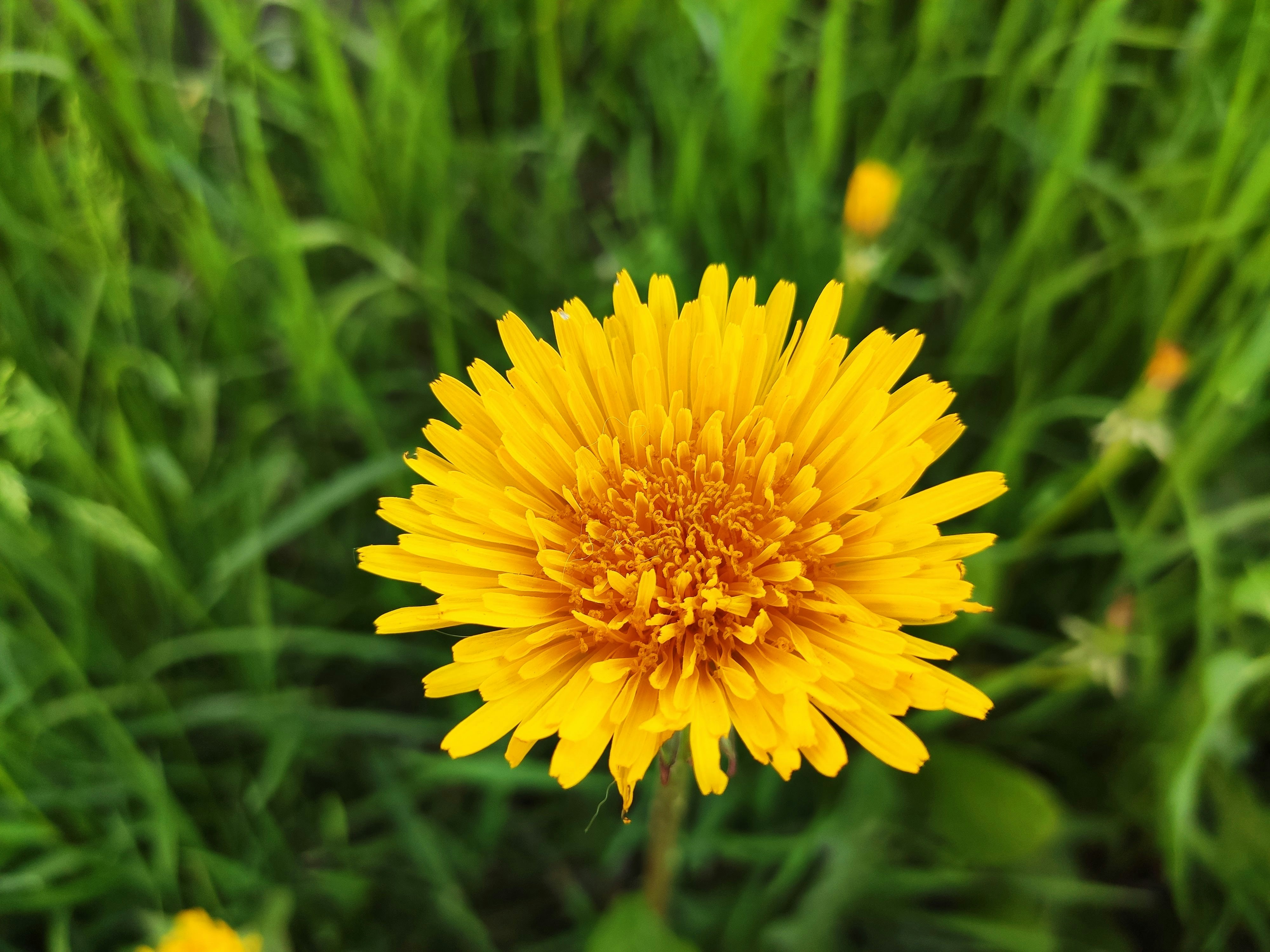 Photo by Kate H with Xiaomi Mi 9T