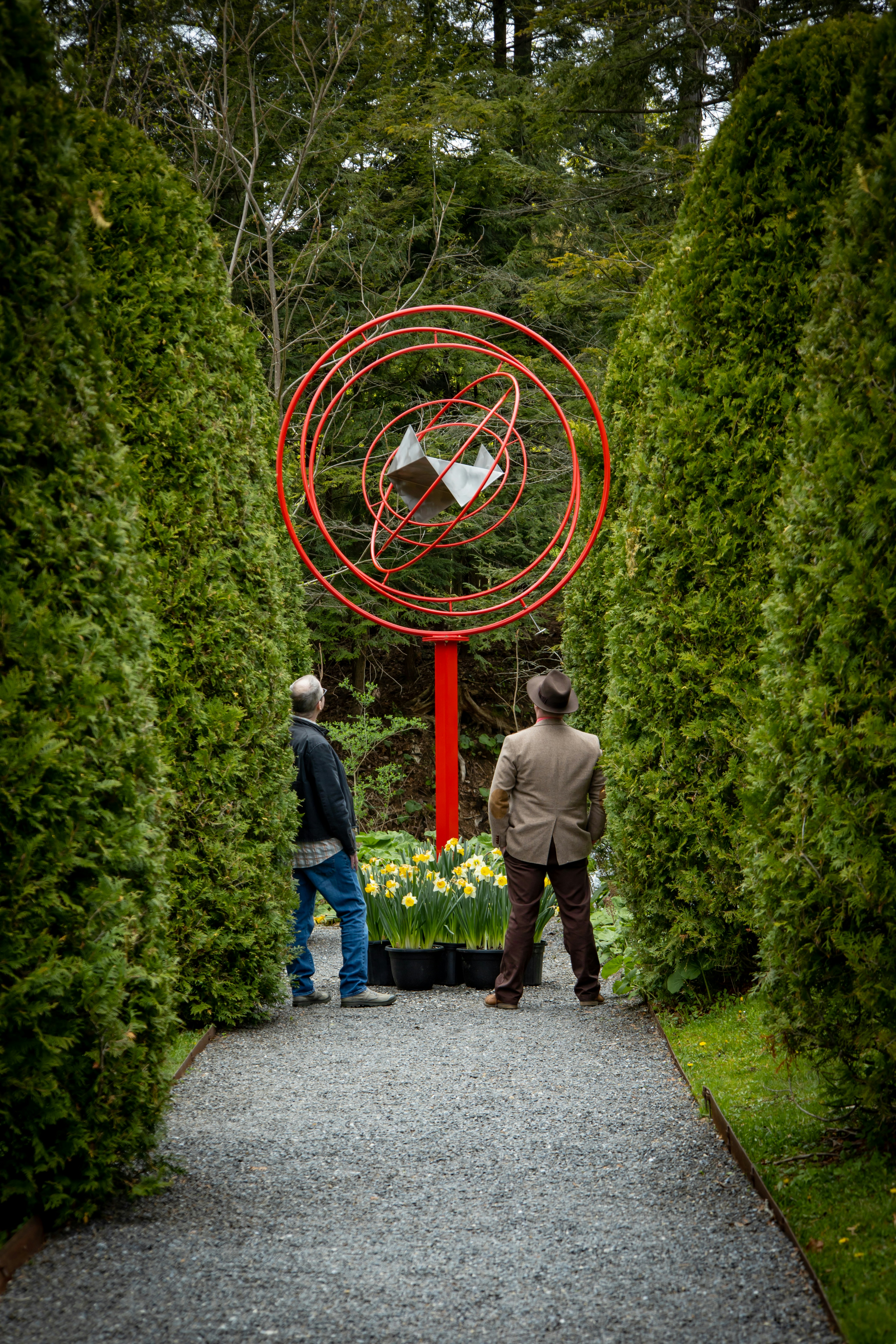 A couple of men looking at a sign in a park photo – Free Green Image on ...