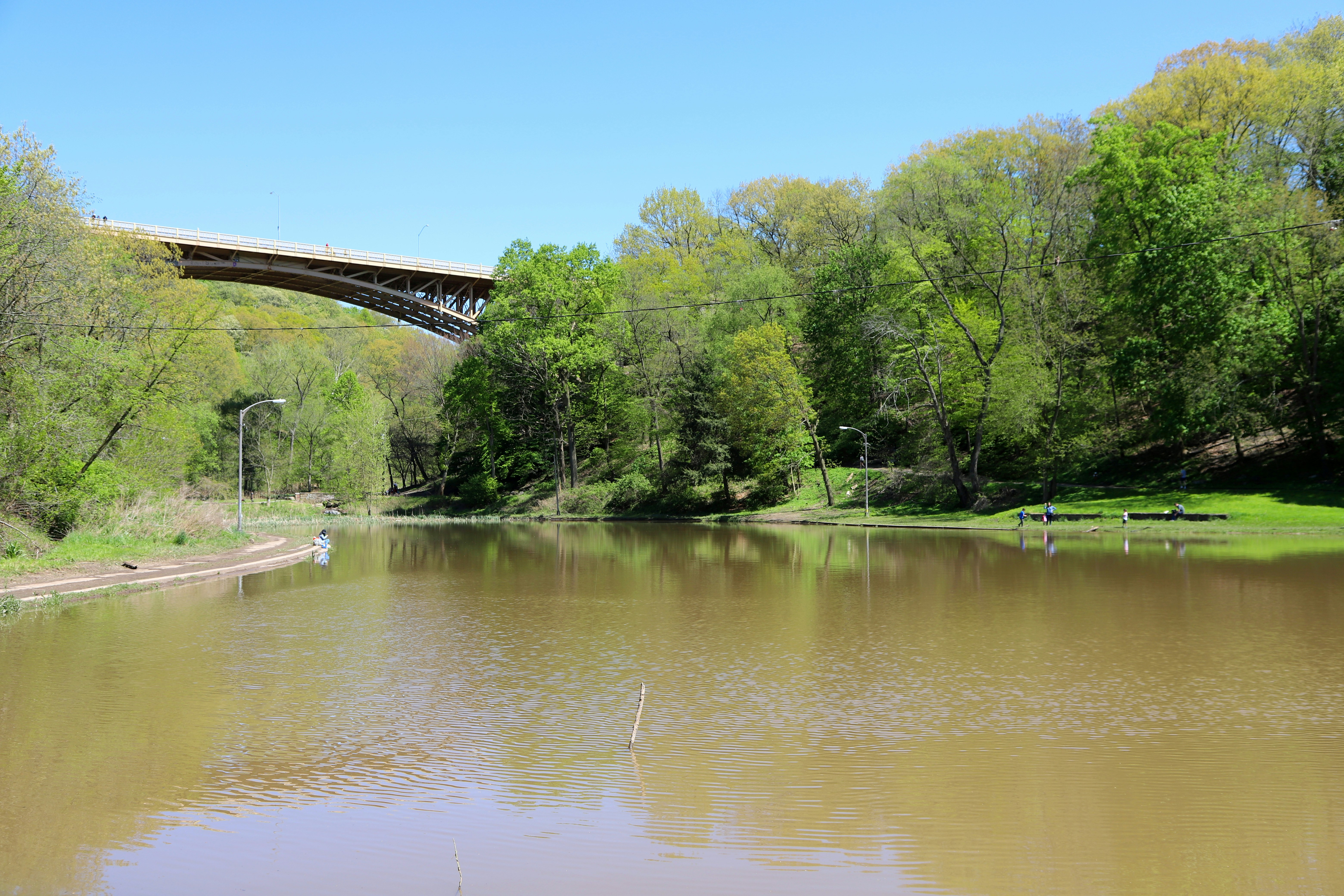 A river with a bridge over it photo – Free Schenley park Image on Unsplash
